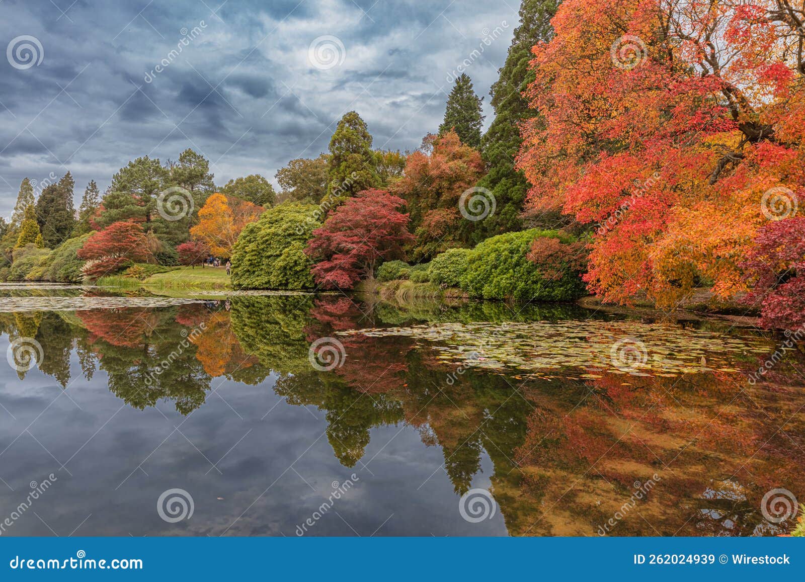 Autumn Nature Reflected in a Pond in Sheffield Park Garden, UK Stock ...