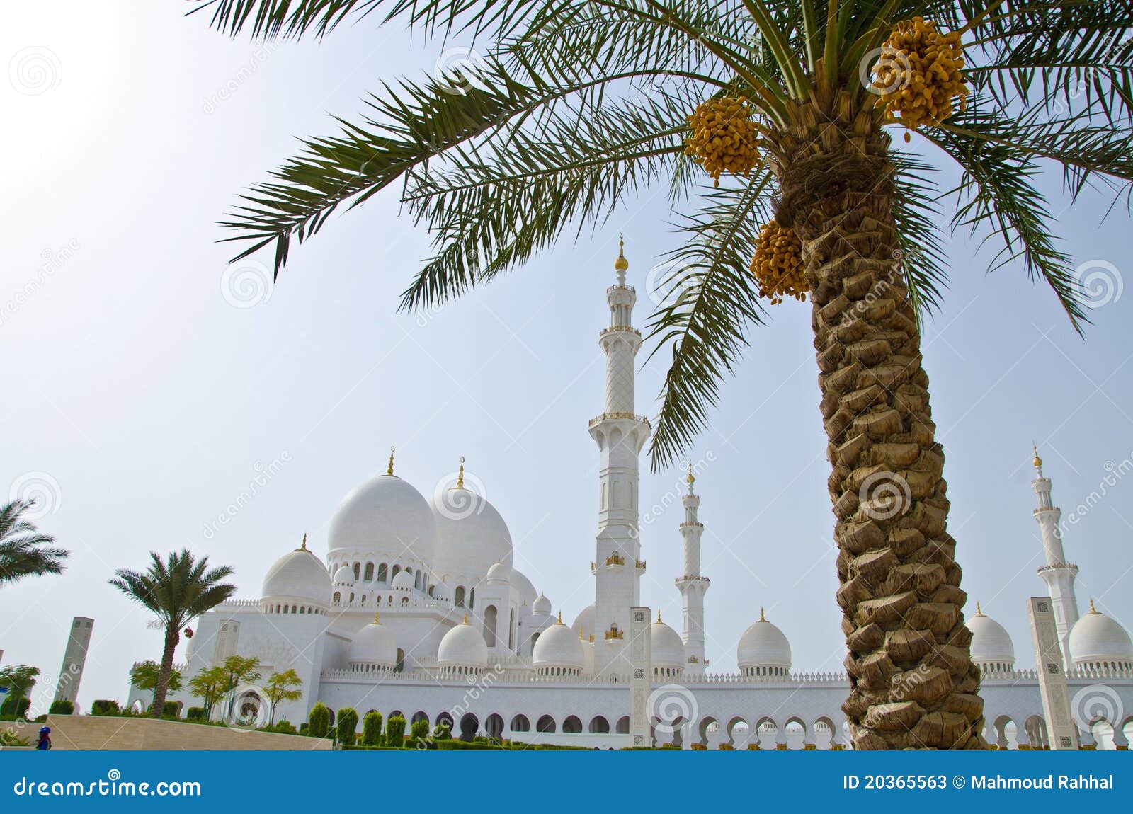 Sheikh Zayed Mosque in Abu Dhabi City Stock Image - Image of arabic ...