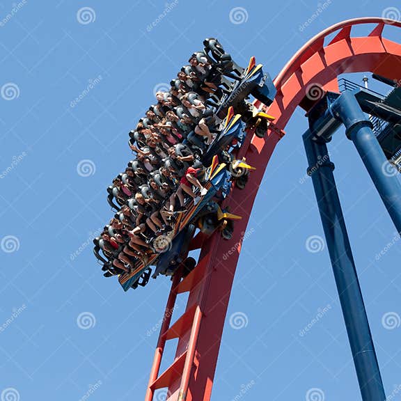 SheiKra editorial stock photo. Image of excitement, speed - 20551993