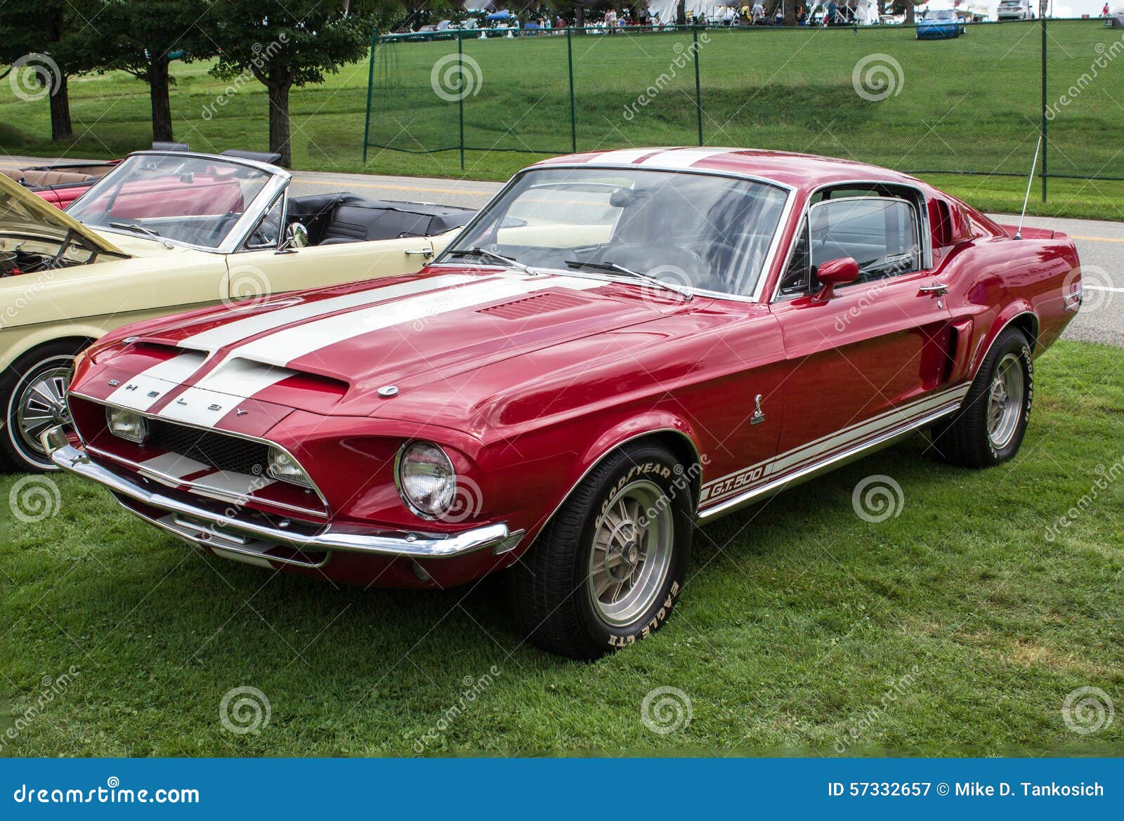 Shelby De Cobragt500 Mustang Van Ford Redactionele Fotografie - Image ...