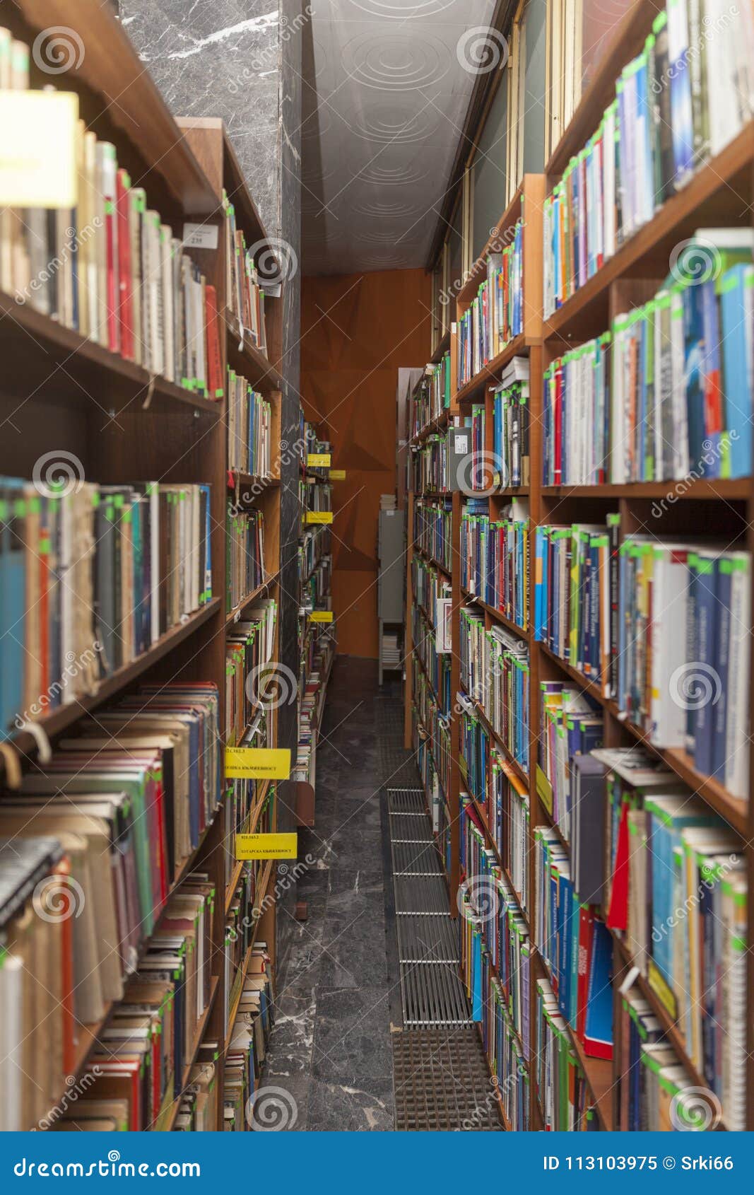 Shelf with books stock image. Image of publishing, cabinet - 113103975