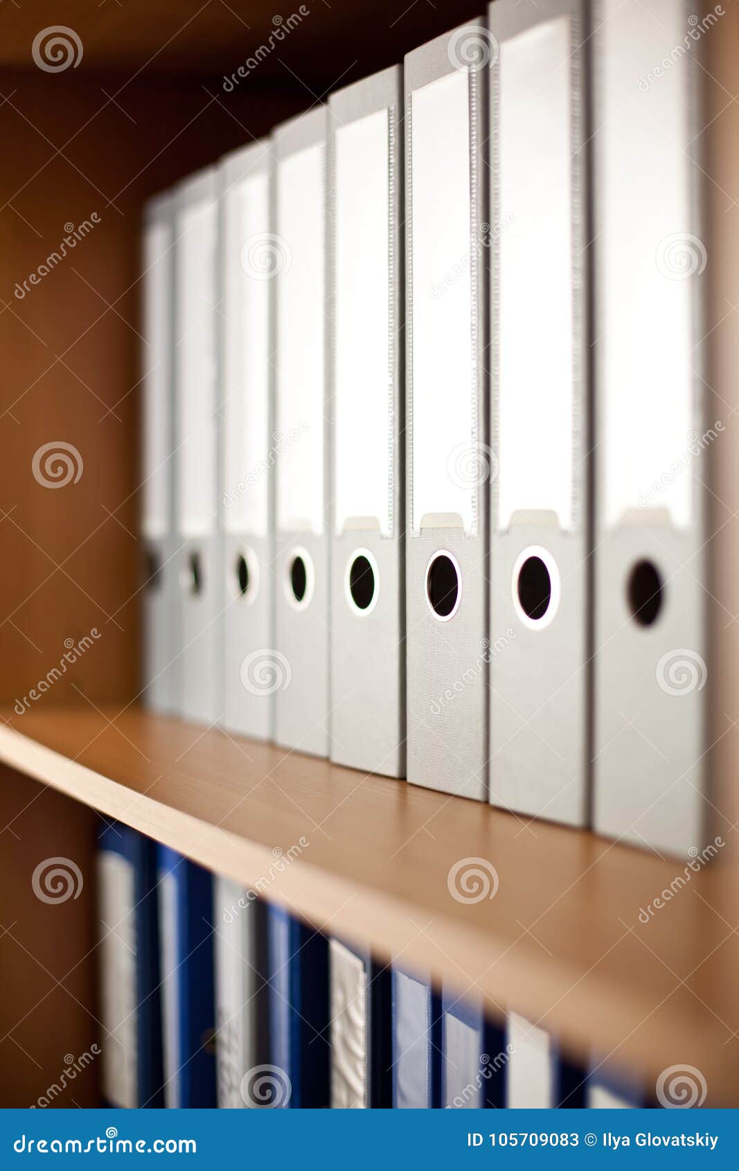 Shelf with Folders at the Office Stock Image - Image of information ...