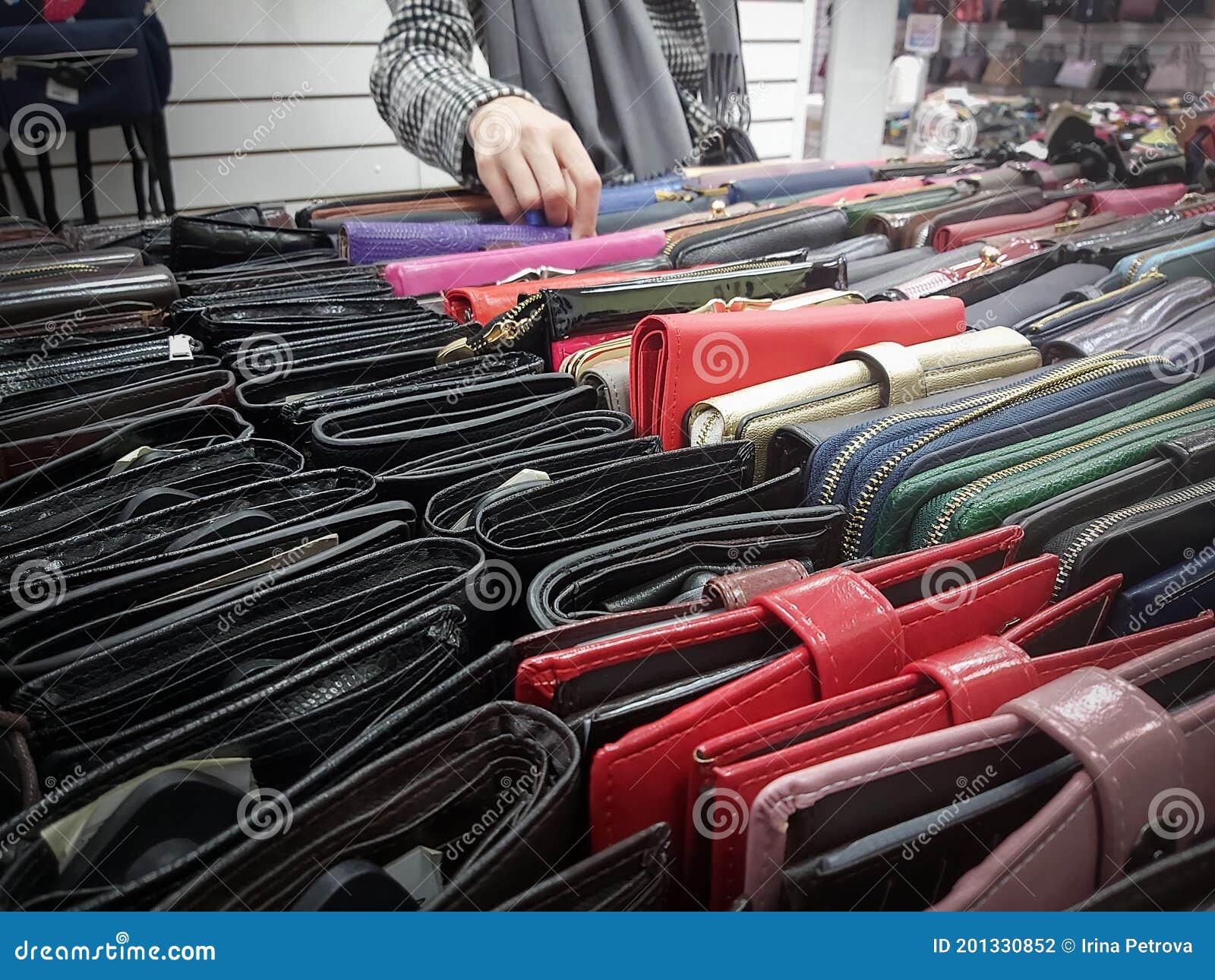 Shelf with Various Wallets, the Girl Chooses a Wallet in the Store ...