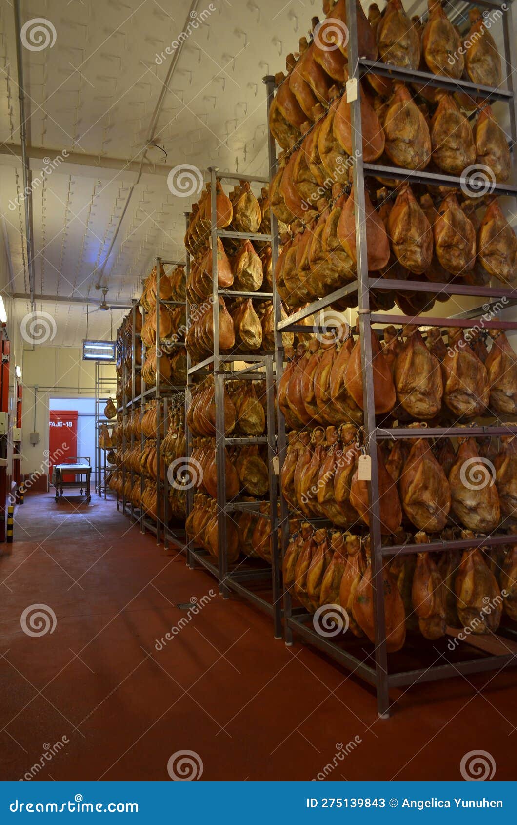 Shelfs of Iberian Ham Shoulders during the Curing Process. Stock Image ...