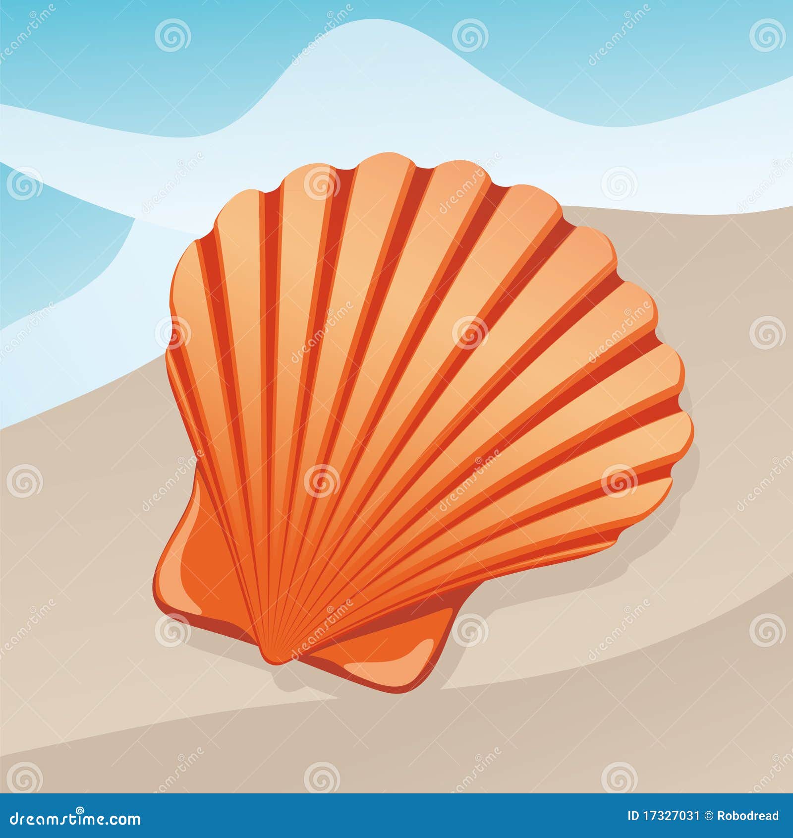 Shell stock vector. Illustration of nature, warm, biology - 17327031