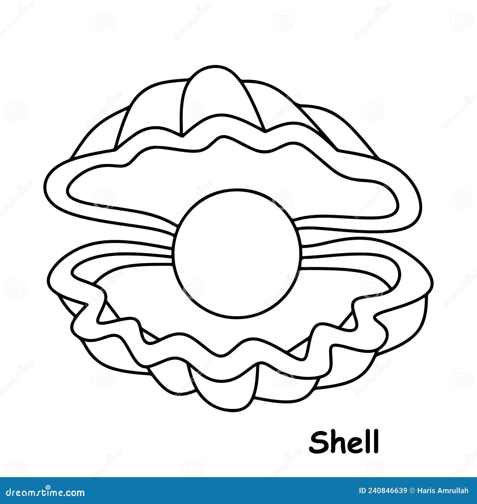 Shell Line Illustration Animal Vector Stock Vector - Illustration of ...