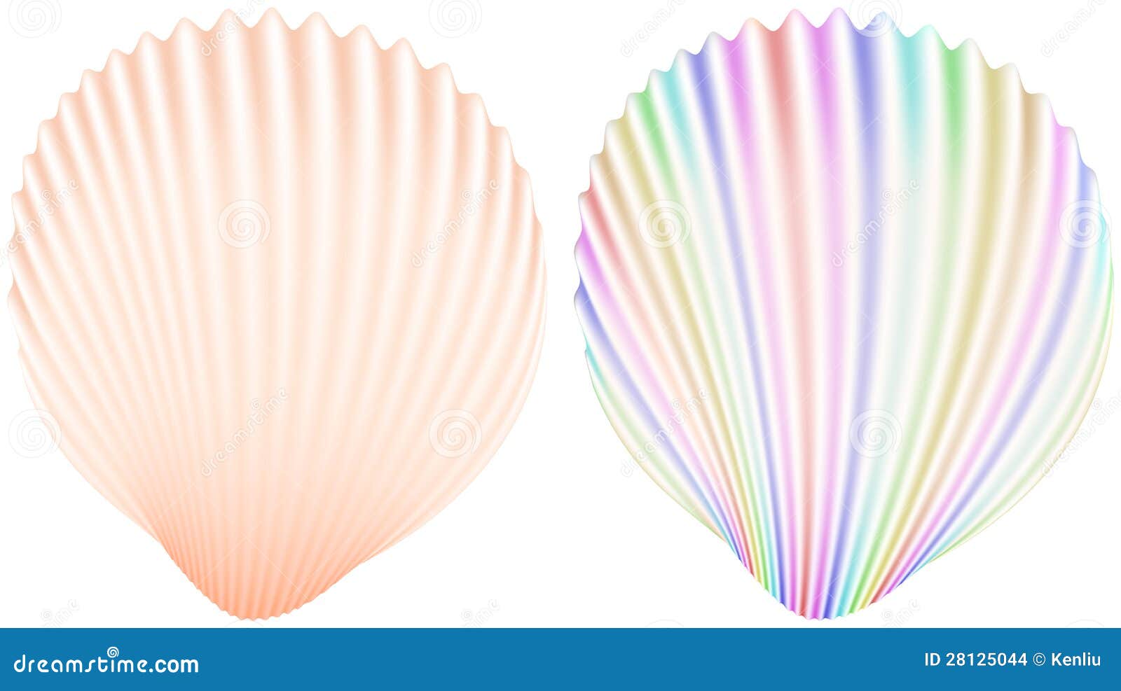 Layered Shell Stock Illustrations – 201 Layered Shell Stock ...