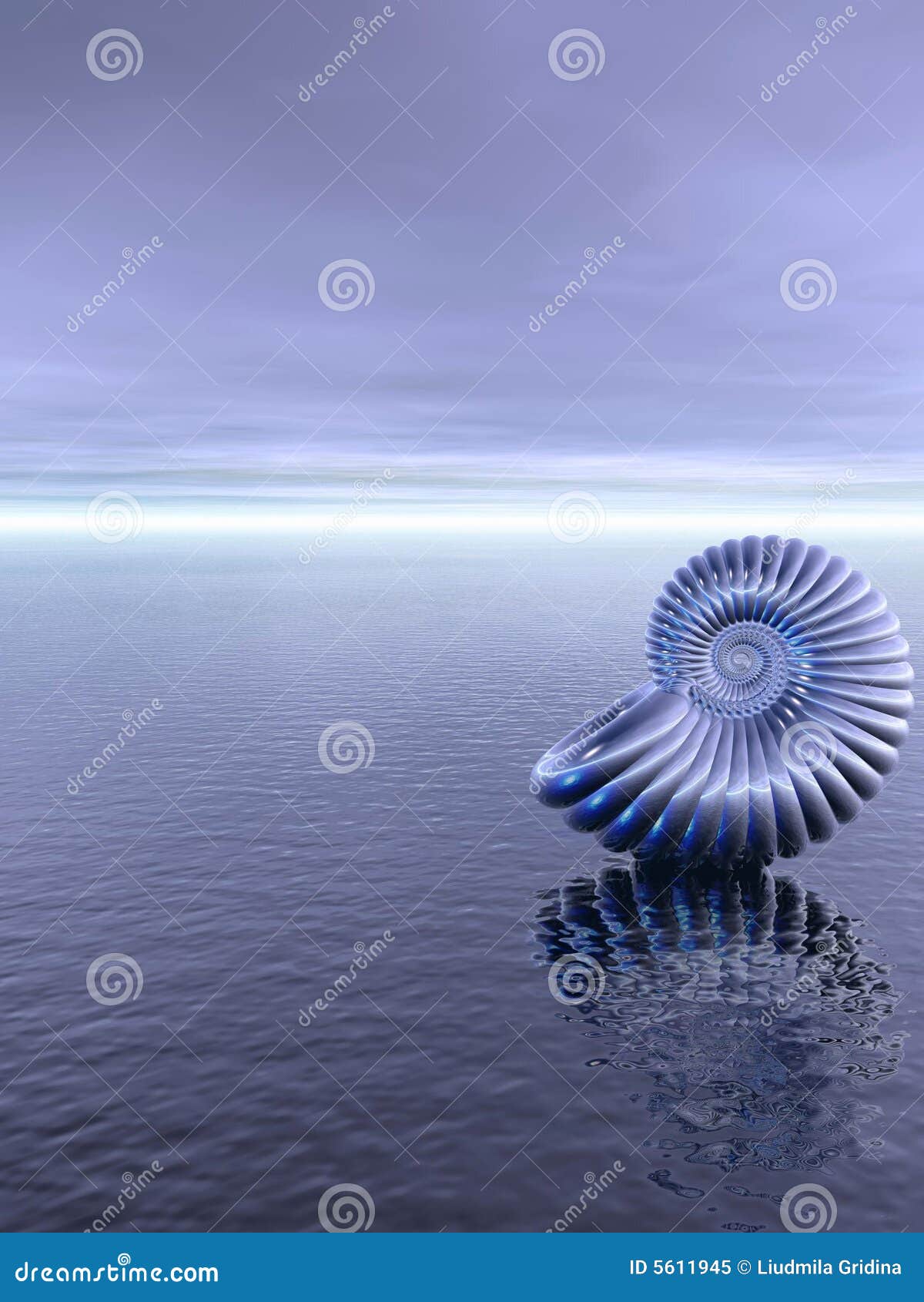 Shell stock illustration. Illustration of shell, biology - 5611945