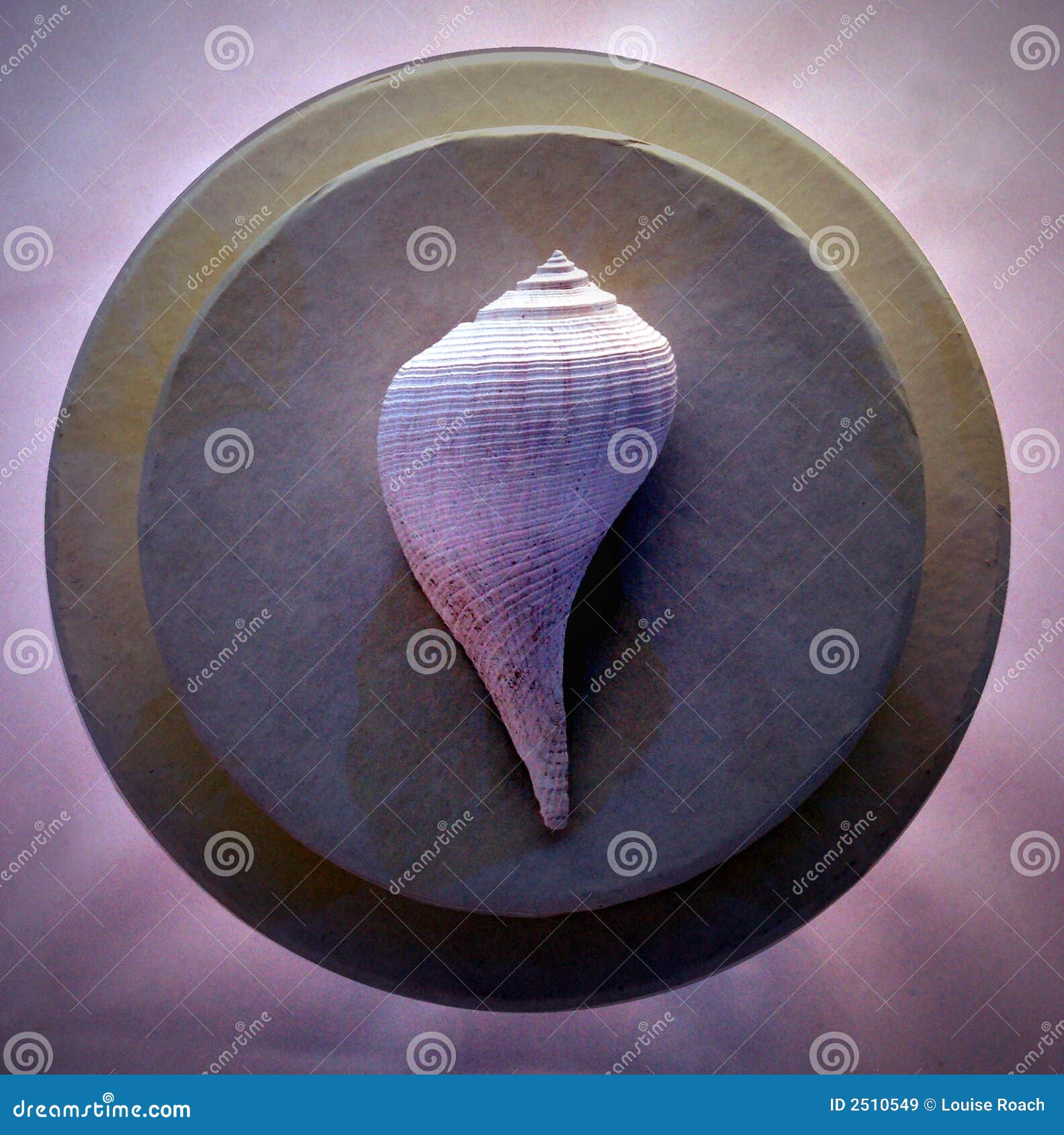 Shell Abstract stock image. Image of shape, natural, conch - 2510549
