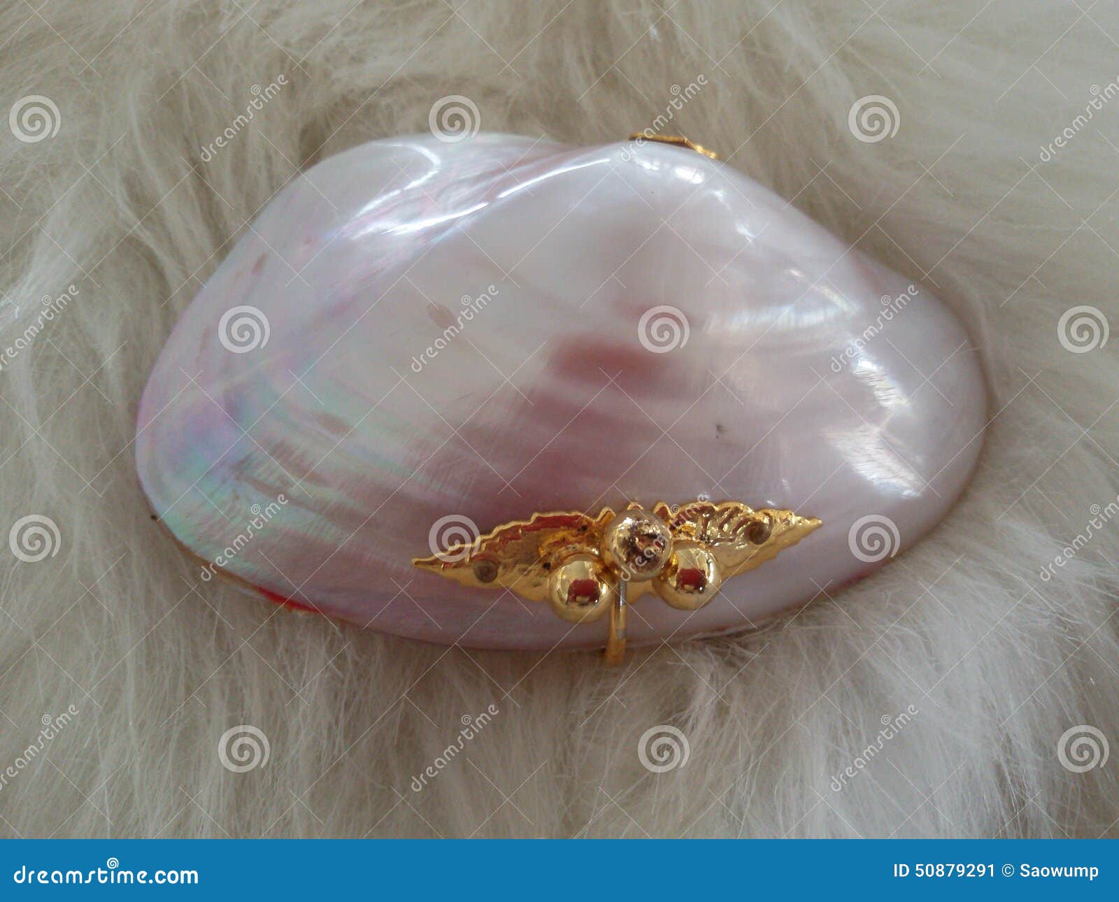 Shell accessories box stock image. Image of married, christ - 50879291