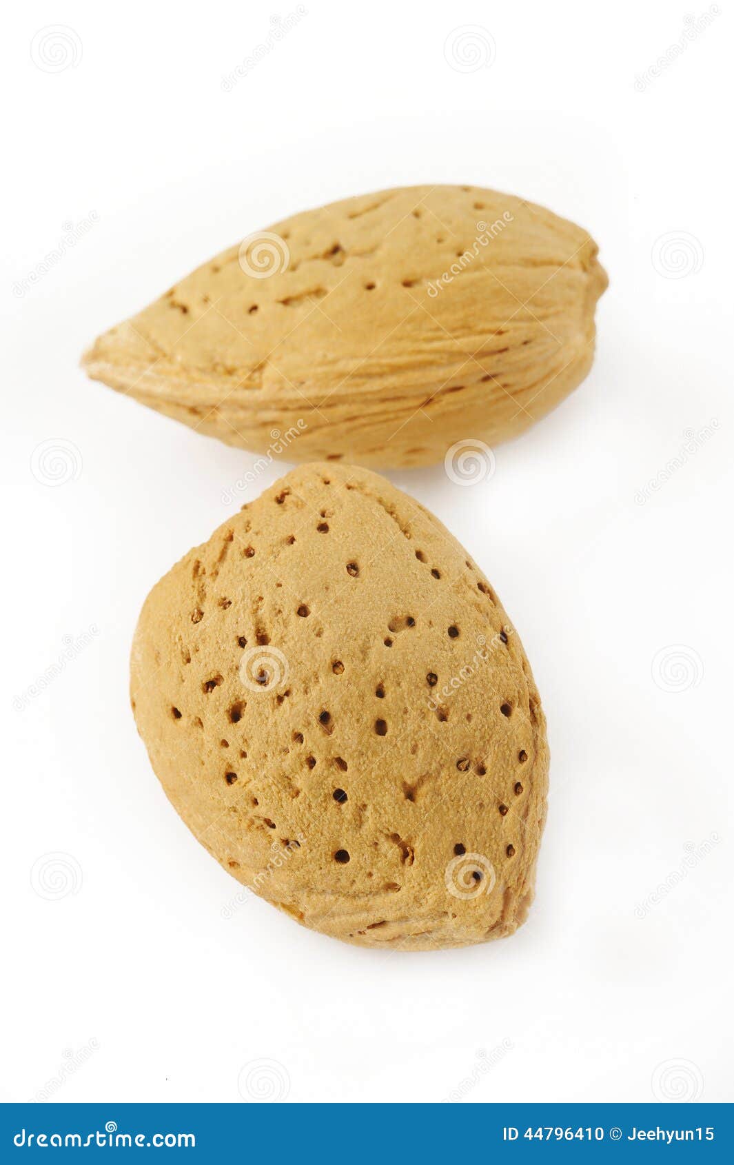 Shell almond stock photo. Image of tough, ingredient - 44796410