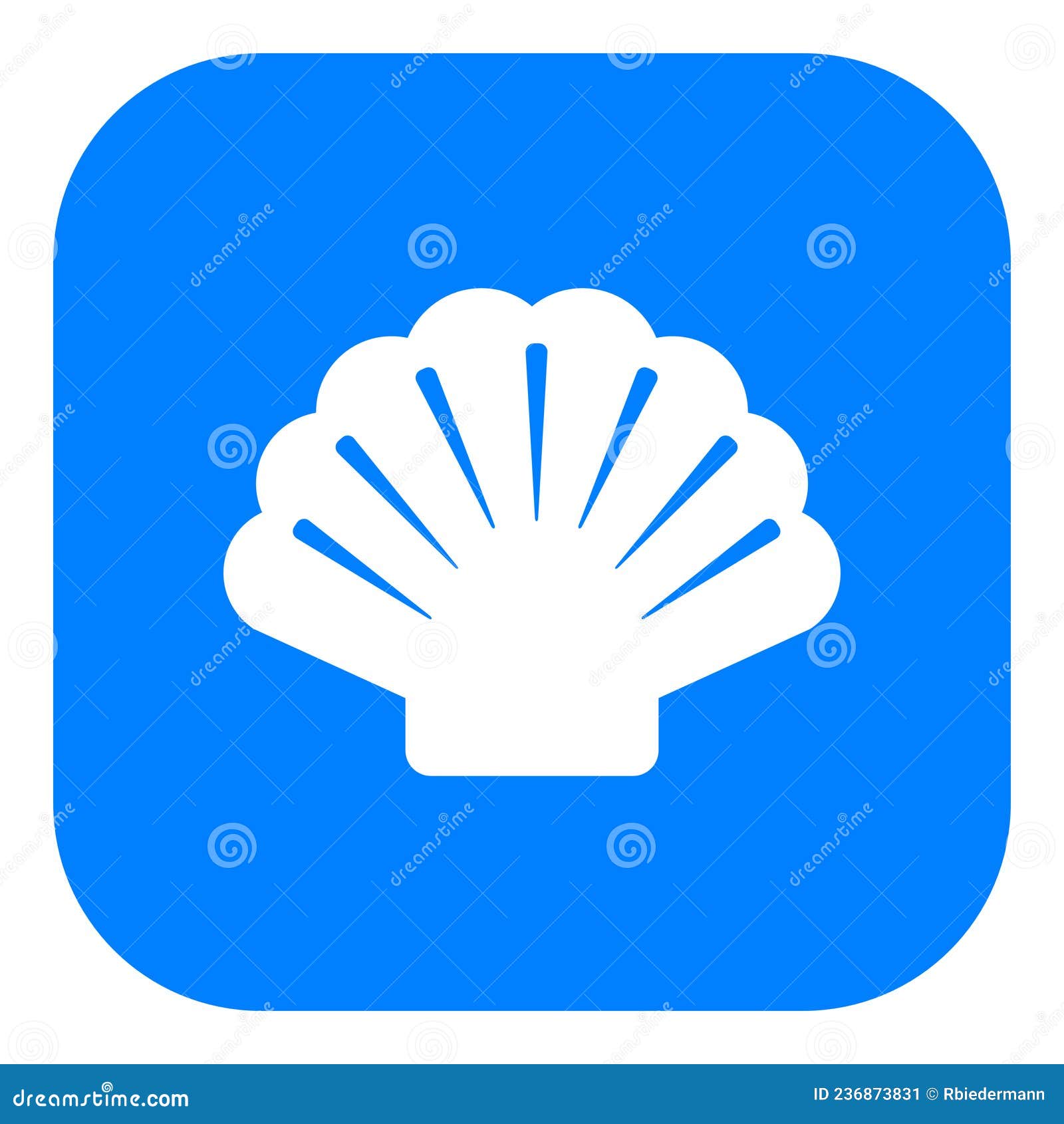 Shell and app icon editorial photo. Illustration of symbol - 236873831