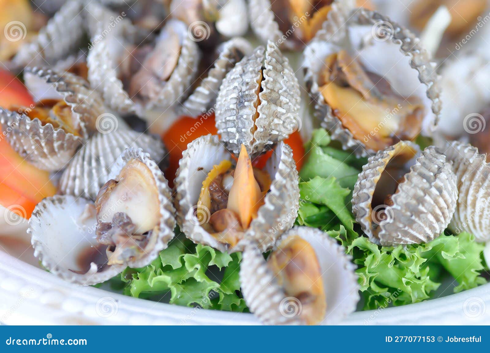 Shell or Ark Shell, Cockle or Scallop or Scald Shell Stock Image ...