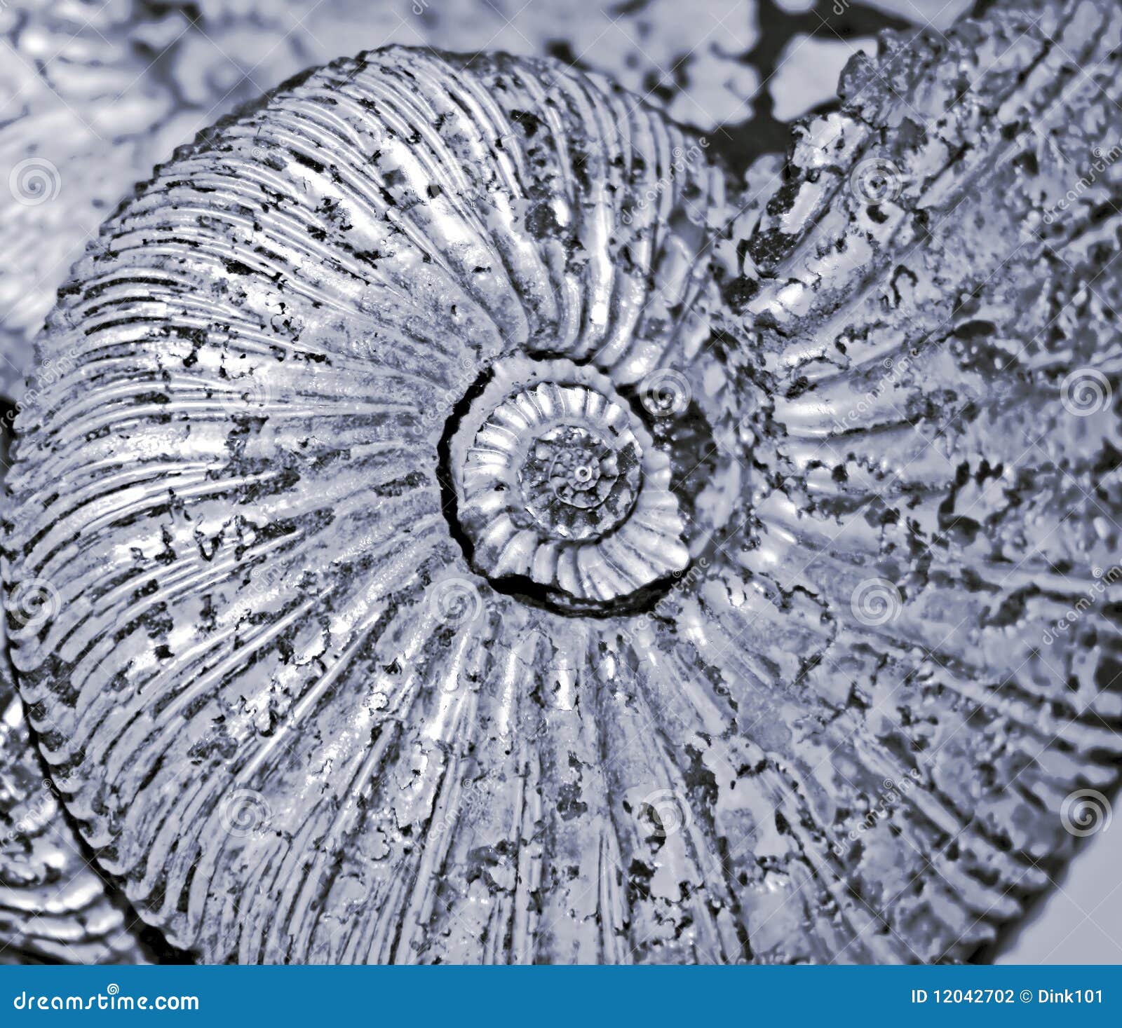 Shell background stock photo. Image of biology, nacre - 12042702