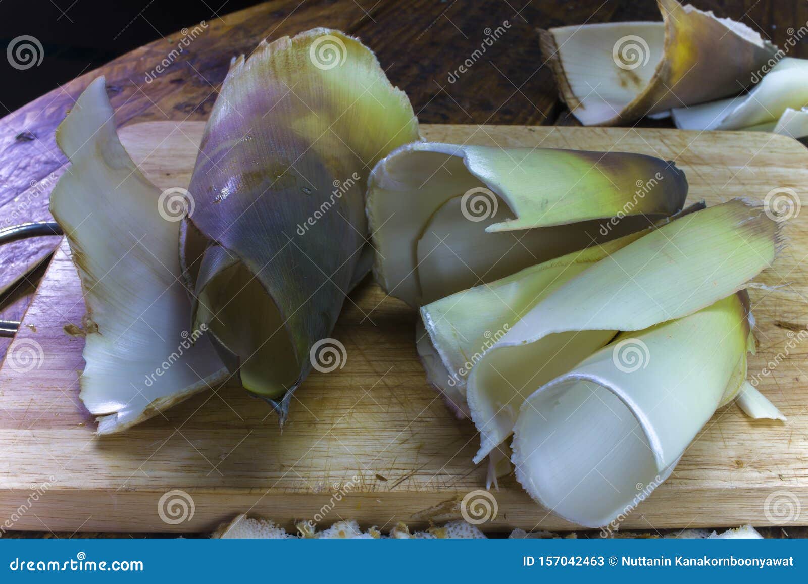 Shell of bamboo shoots stock image. Image of mollusk - 157042463