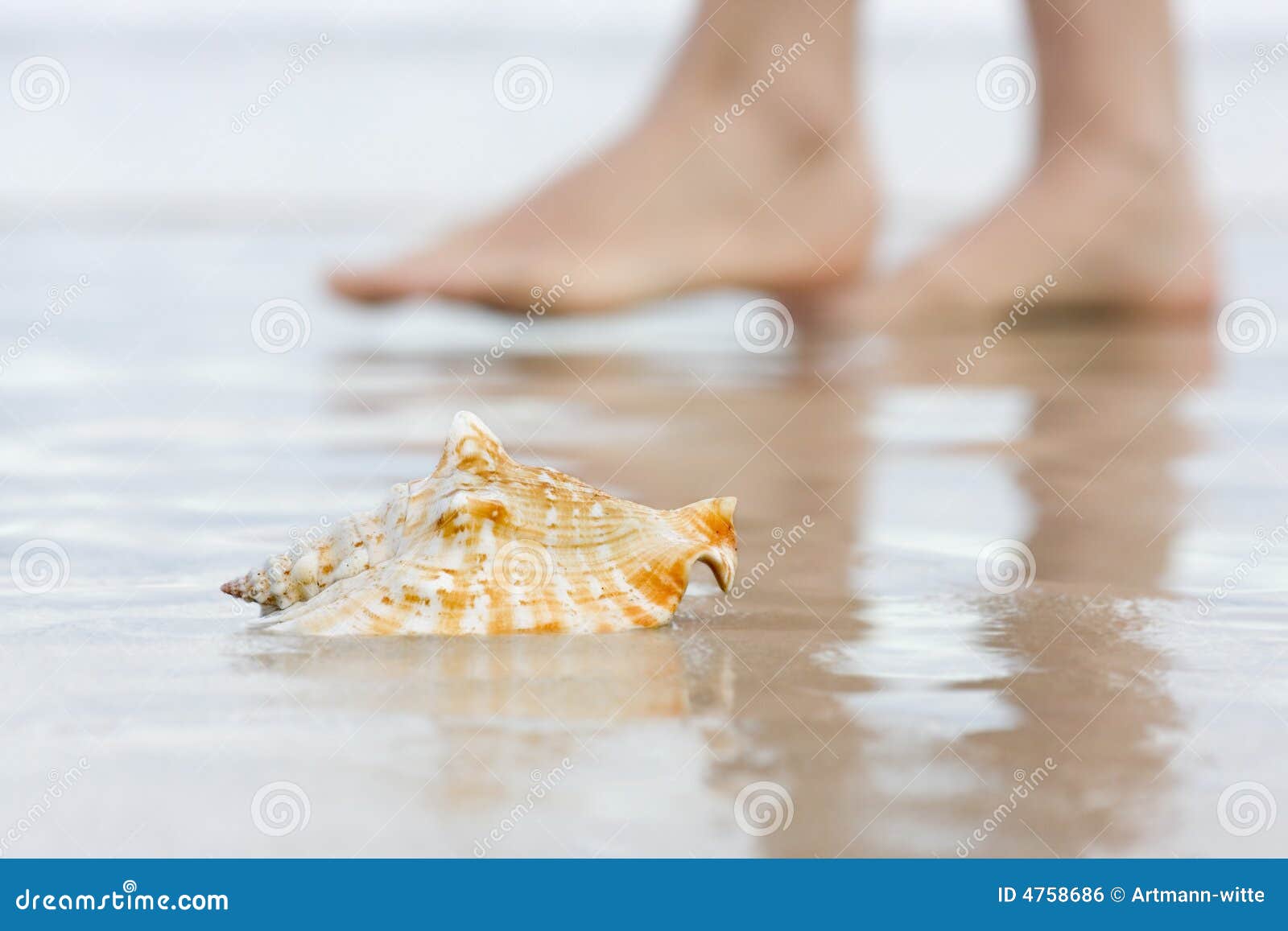 Shell and Bare Feet on Beach Stock Photo - Image of relaxation, holiday ...