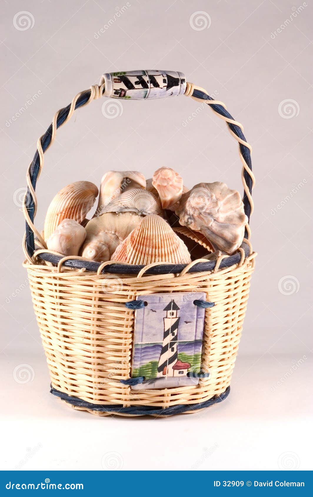 Shell Basket stock image. Image of handle, reeds, basket - 32909