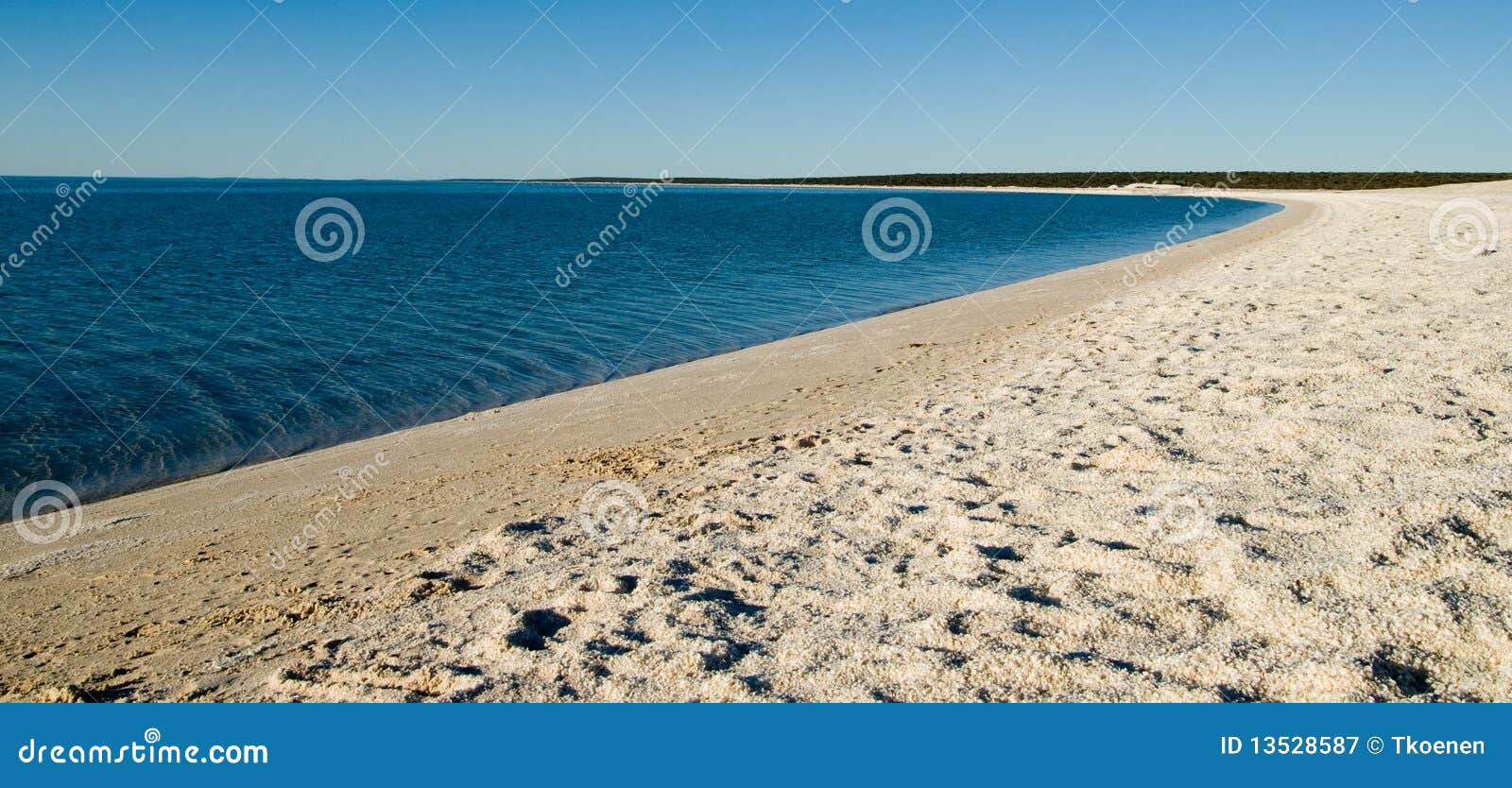 Shell beach stock image. Image of beach, tide, nature - 13528587