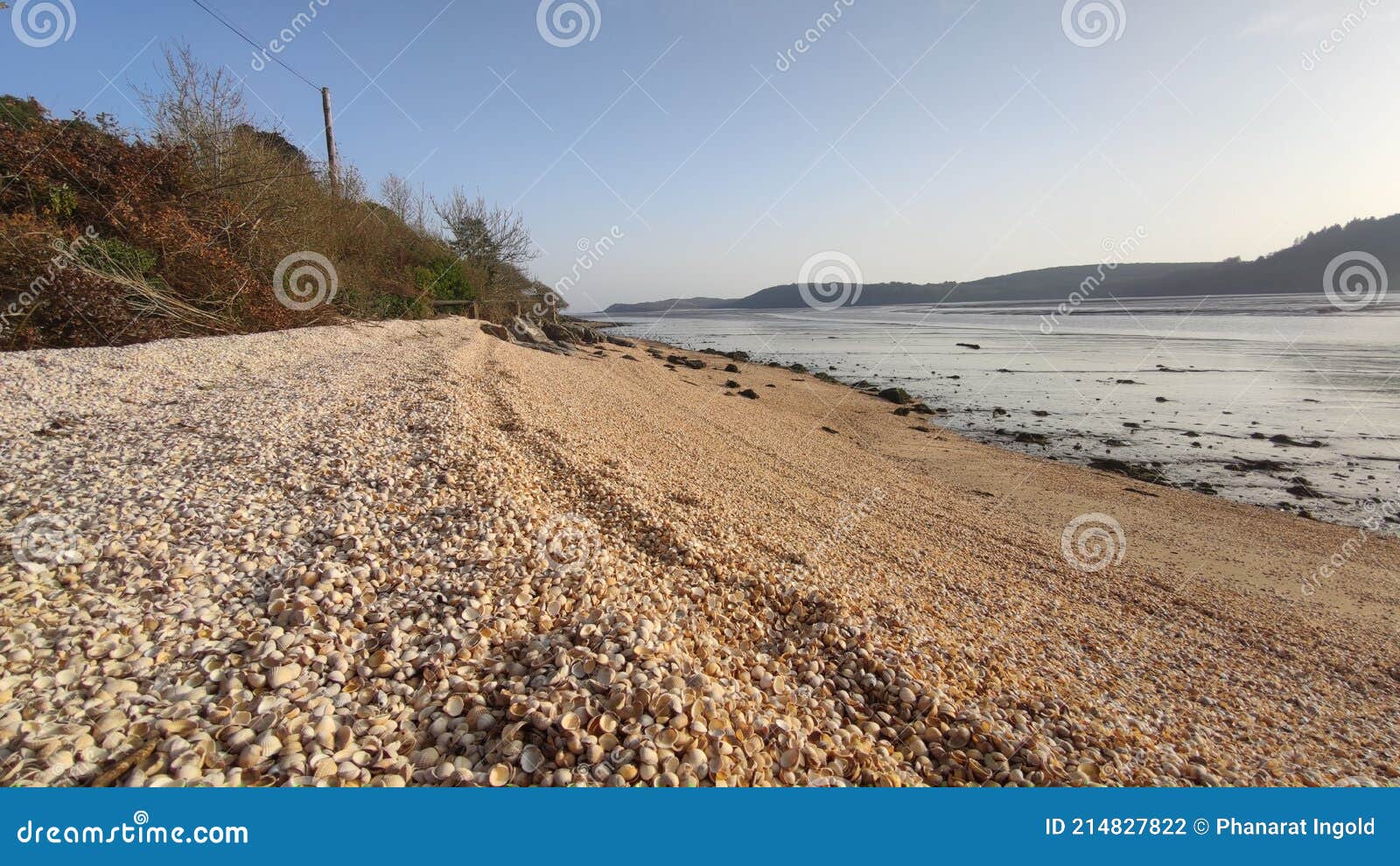 The Shell Beach. stock photo. Image of coast, horizon - 214827822