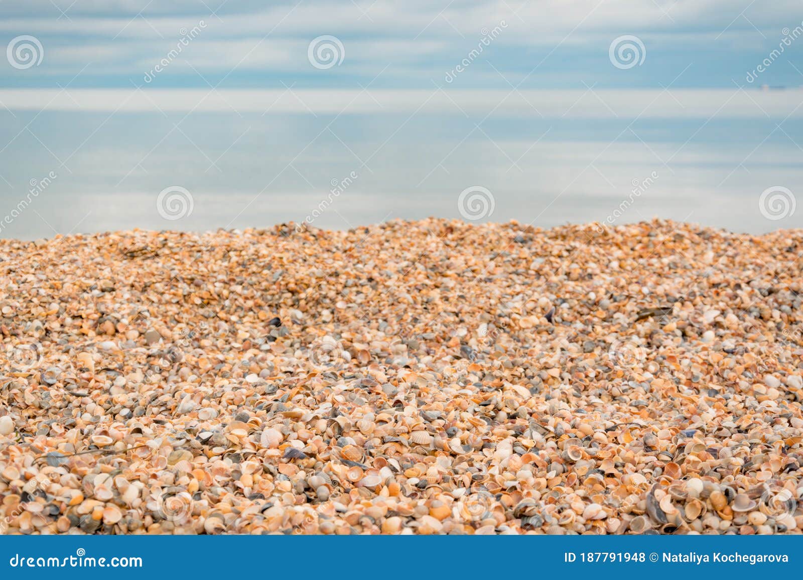 Shell Beach on the Background of the Sea Stock Photo - Image of marine ...