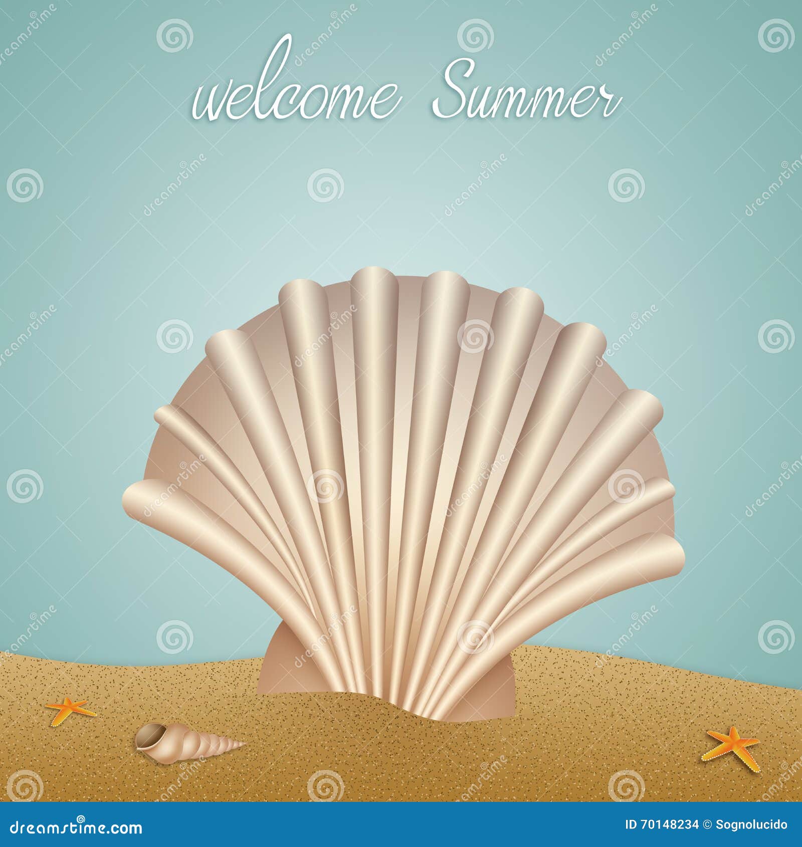 Shell on the beach stock illustration. Illustration of life - 70148234
