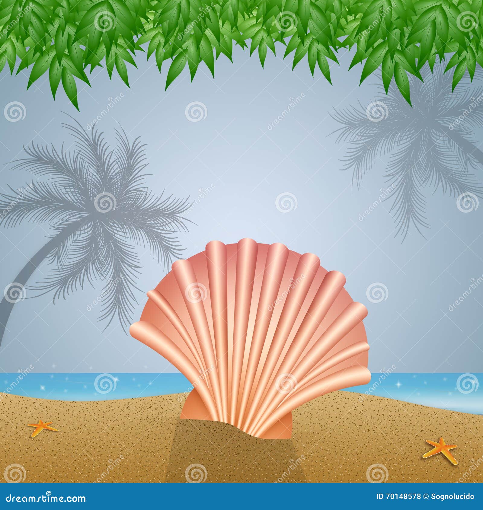 Shell on the beach stock illustration. Illustration of holidays - 70148578
