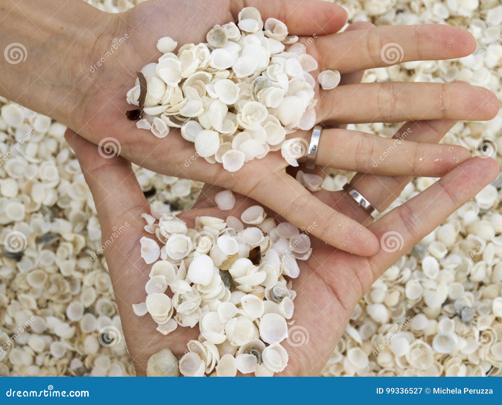 Shell beach married stock image. Image of beach, women - 99336527