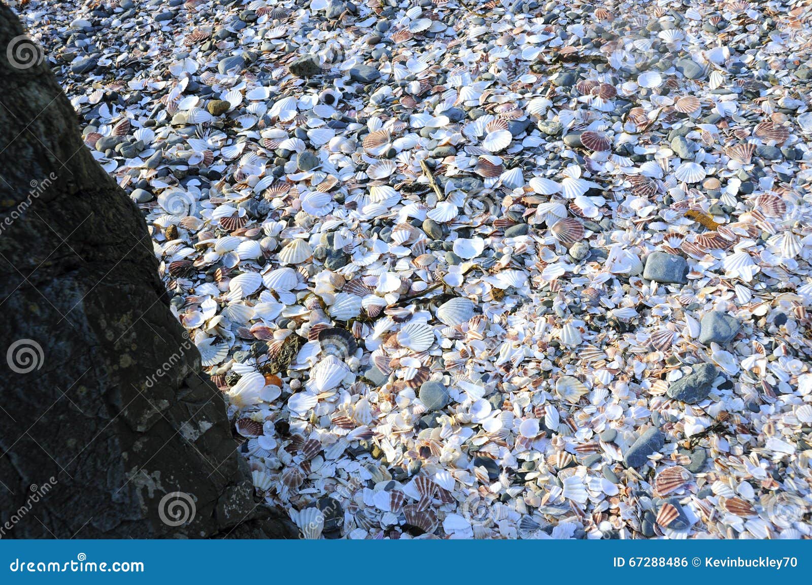 Shell Beach at Peel, Isle of Man Stock Photo - Image of isle, seaside ...
