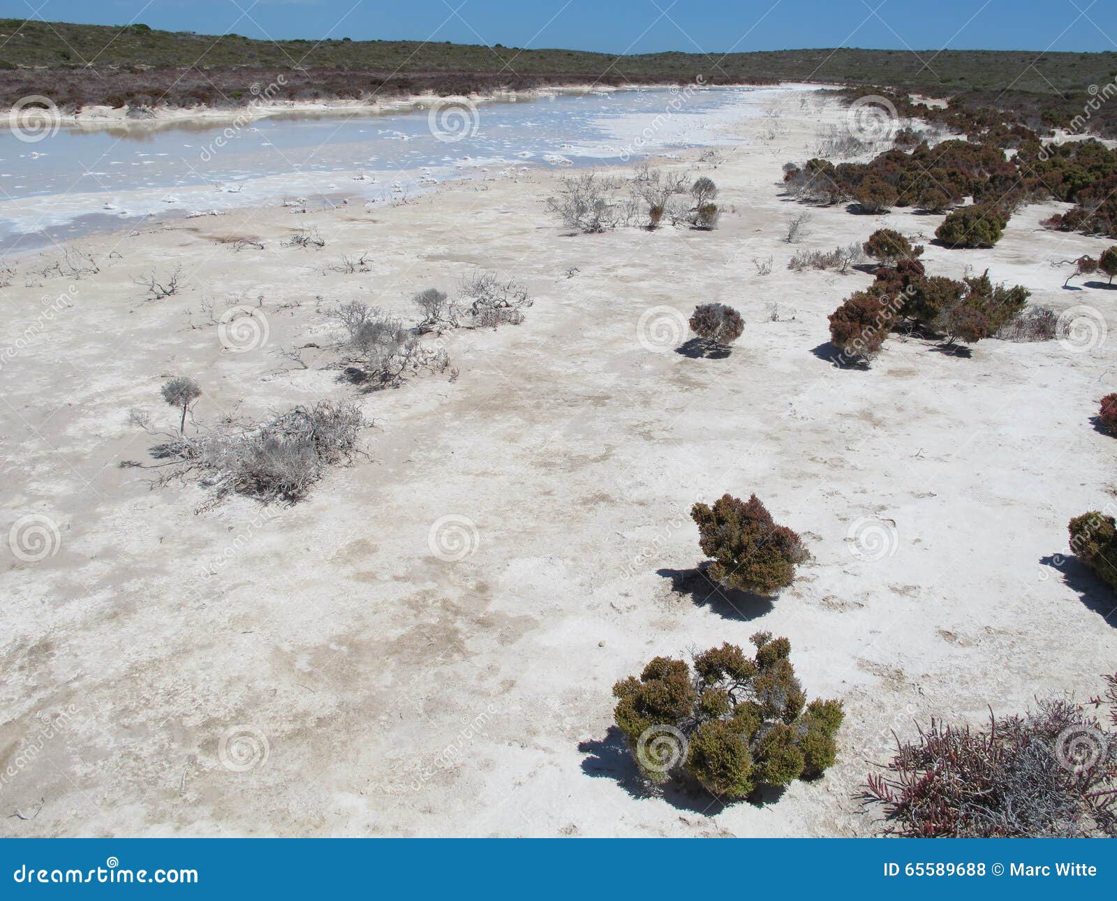 Shell Beach, Shark Bay, Western Australia Stock Photo - Image of ...