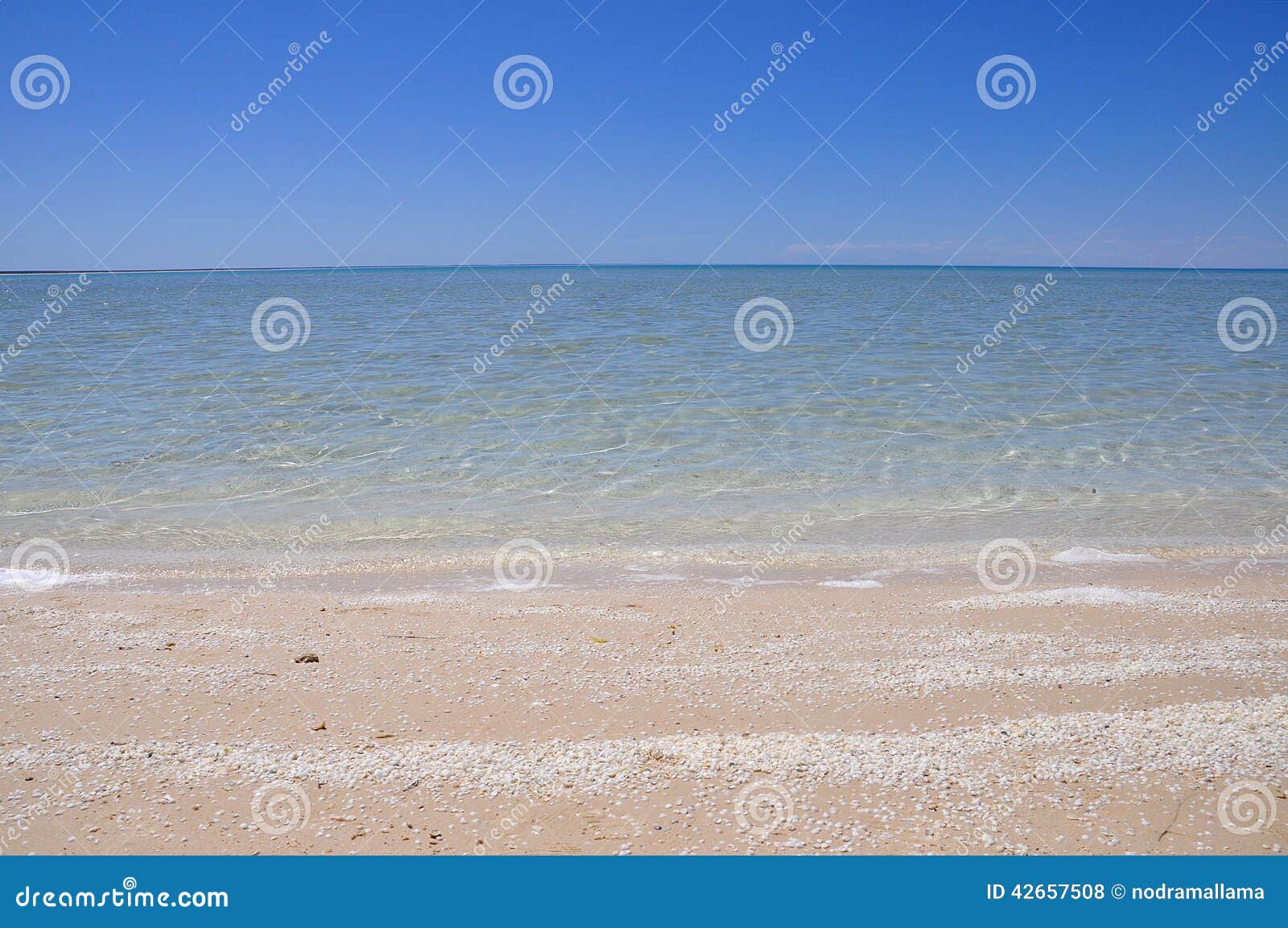 Shell Beach, Shark Bay, Western Australia Stock Photo - Image of frame ...