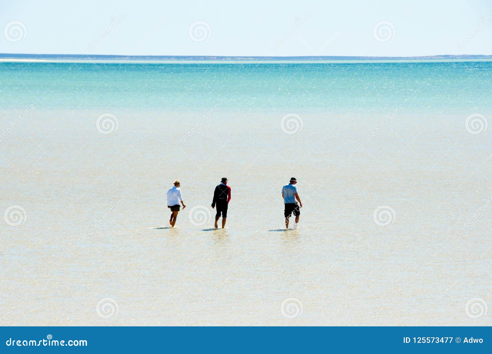 Shell Beach editorial photography. Image of pattern - 125573477