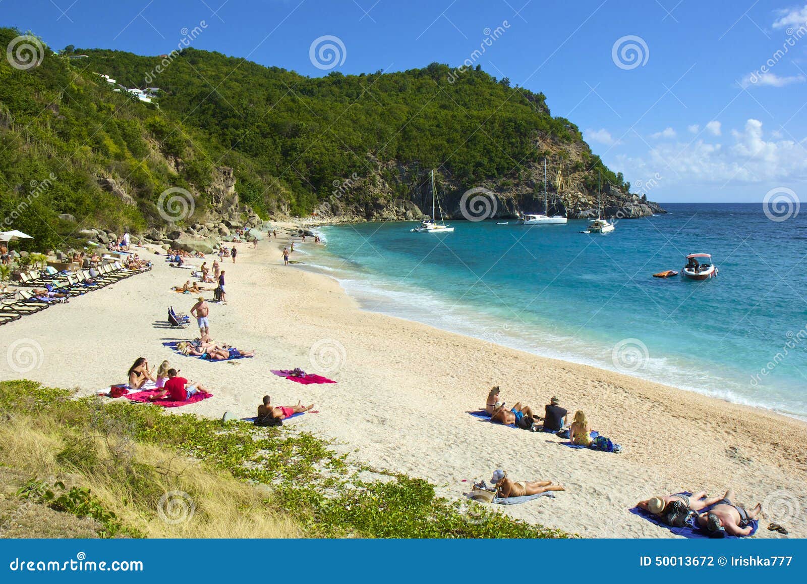 Shell Beach in St Barths, Caribbean Editorial Photography - Image of ...