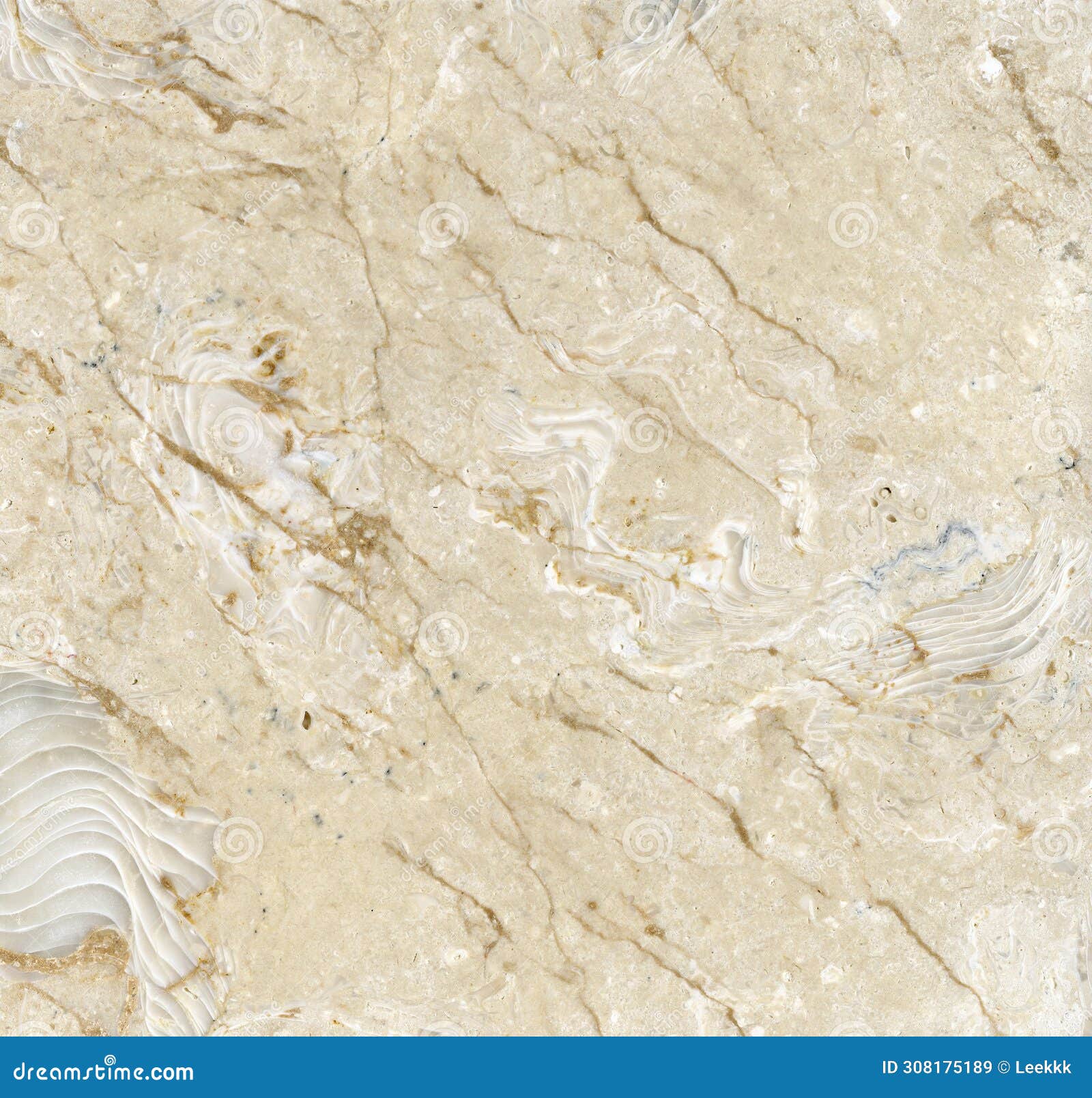 Shell Beige Marble Background Grain Stone Plate Stock Image - Image of ...