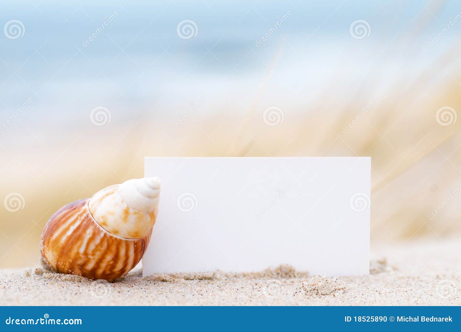 Shell and a Blank Card on the Beach Stock Photo - Image of beach ...