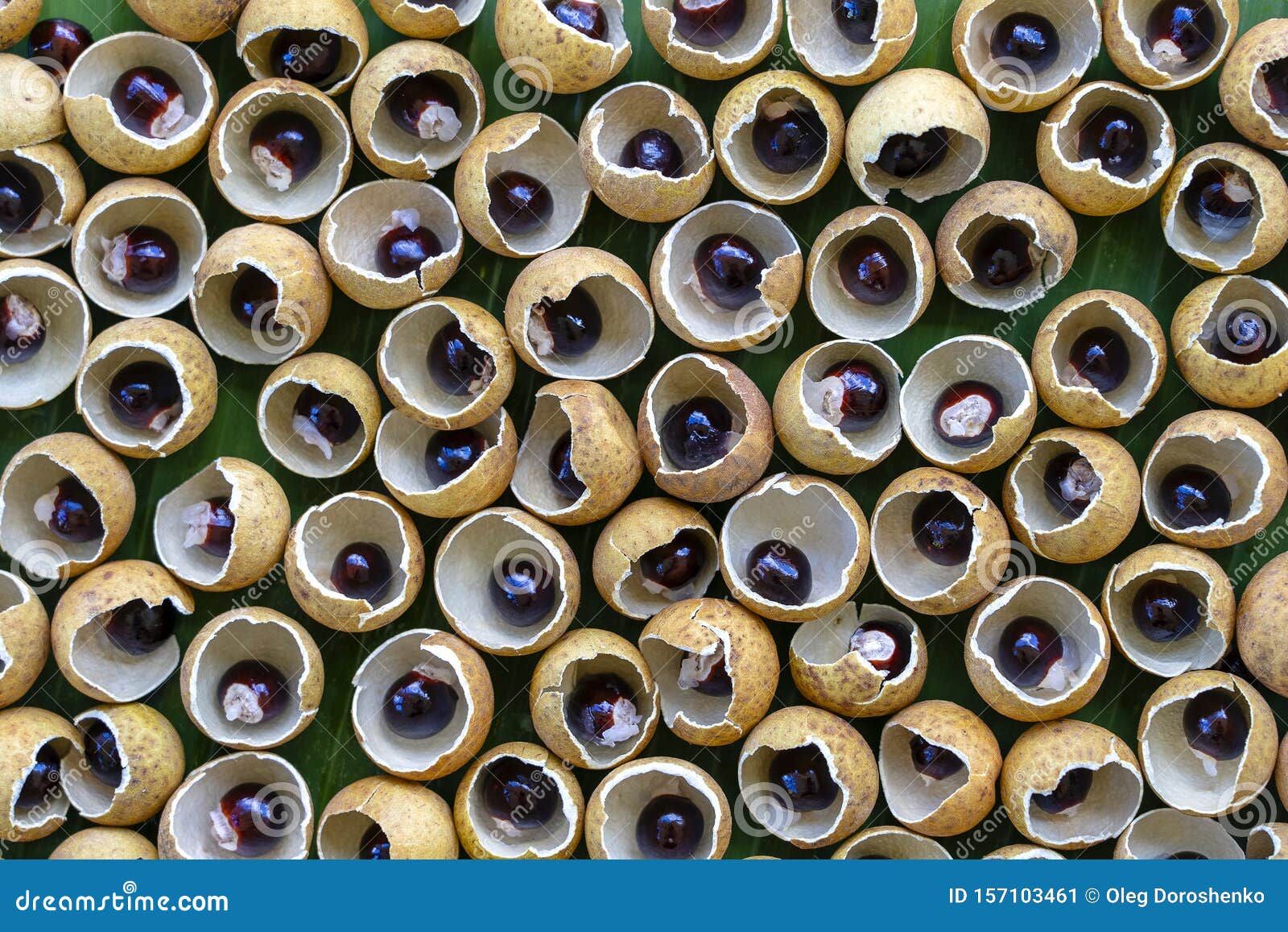 The Shell and the Bone from the Thai Fruit Longan. Longan Peel Shell ...