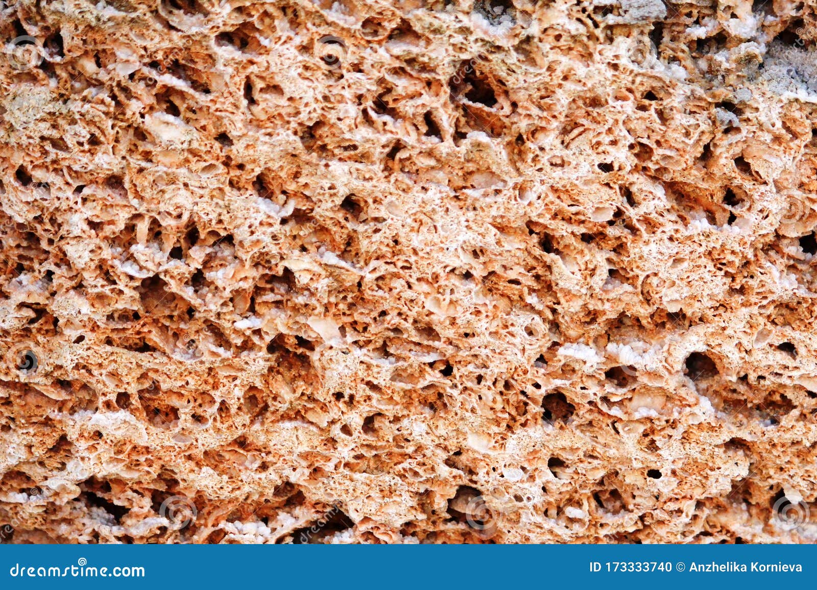 Shell Brick Wall Pattern Surface Mineral Material Texture Background ...