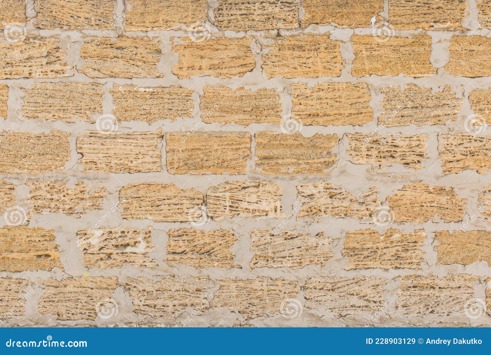 Shell Brick Wall Pattern Surface Mineral Material Texture Background ...