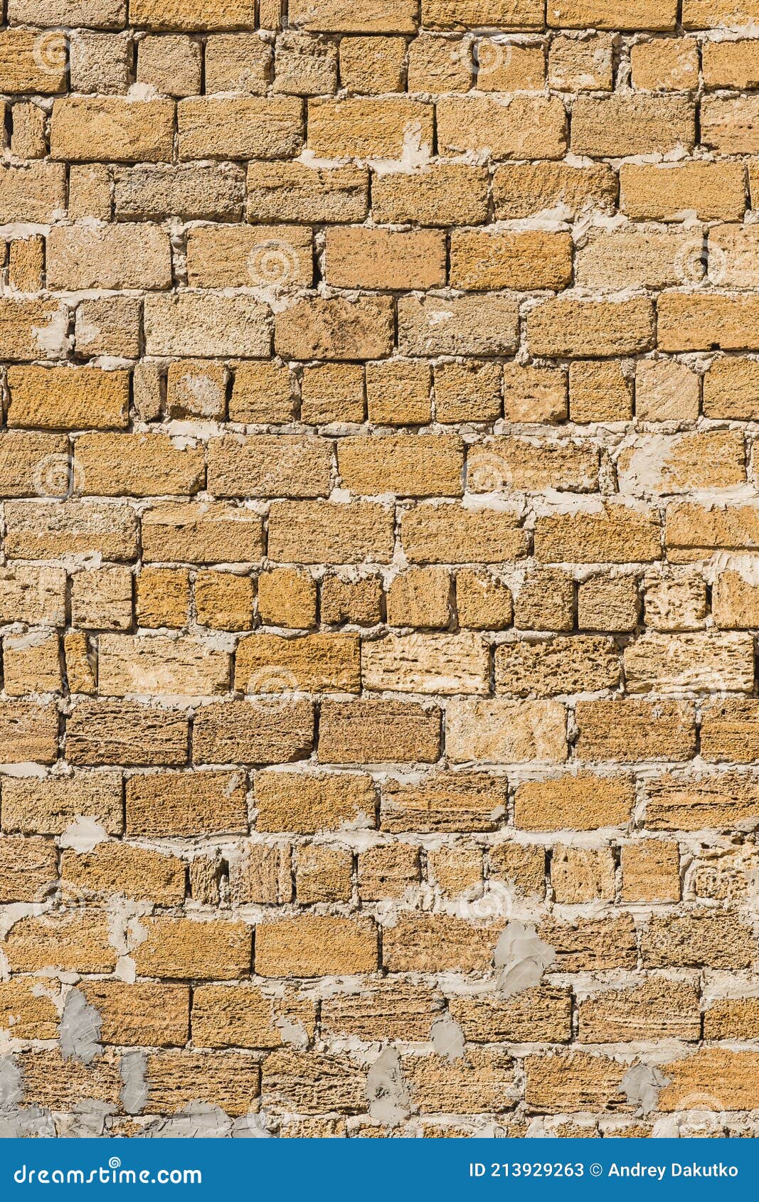 Shell Brick Wall Texture Stone Background, Building Limestone Facade ...