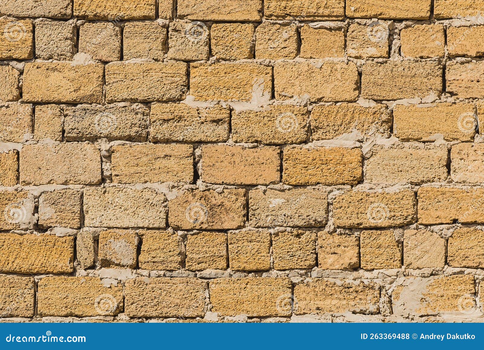 Shell Brick Wall Texture Stone Background, Building Limestone Sand ...