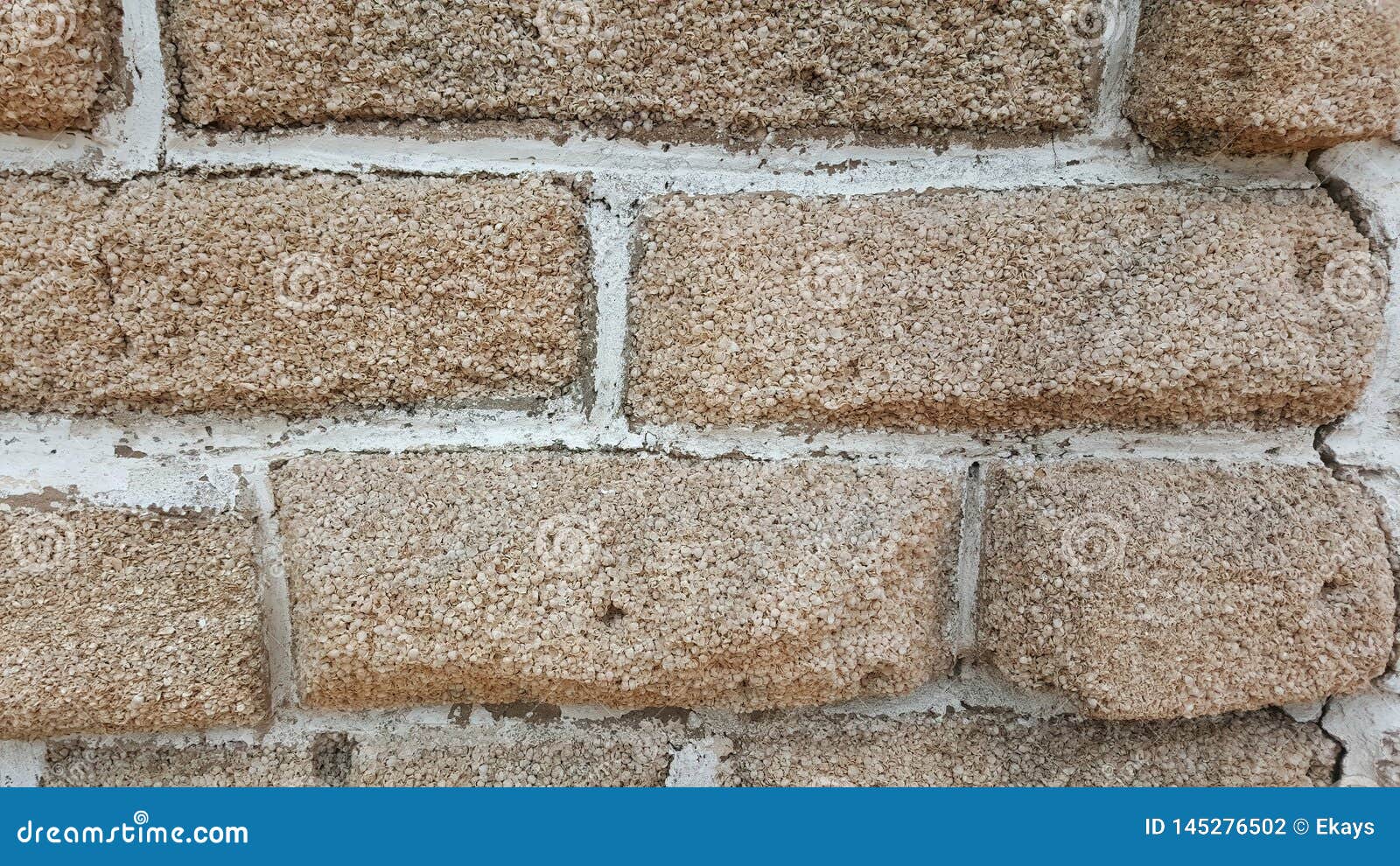 Bricks Made from Shells and Used in Old Building Stock Photo - Image of ...