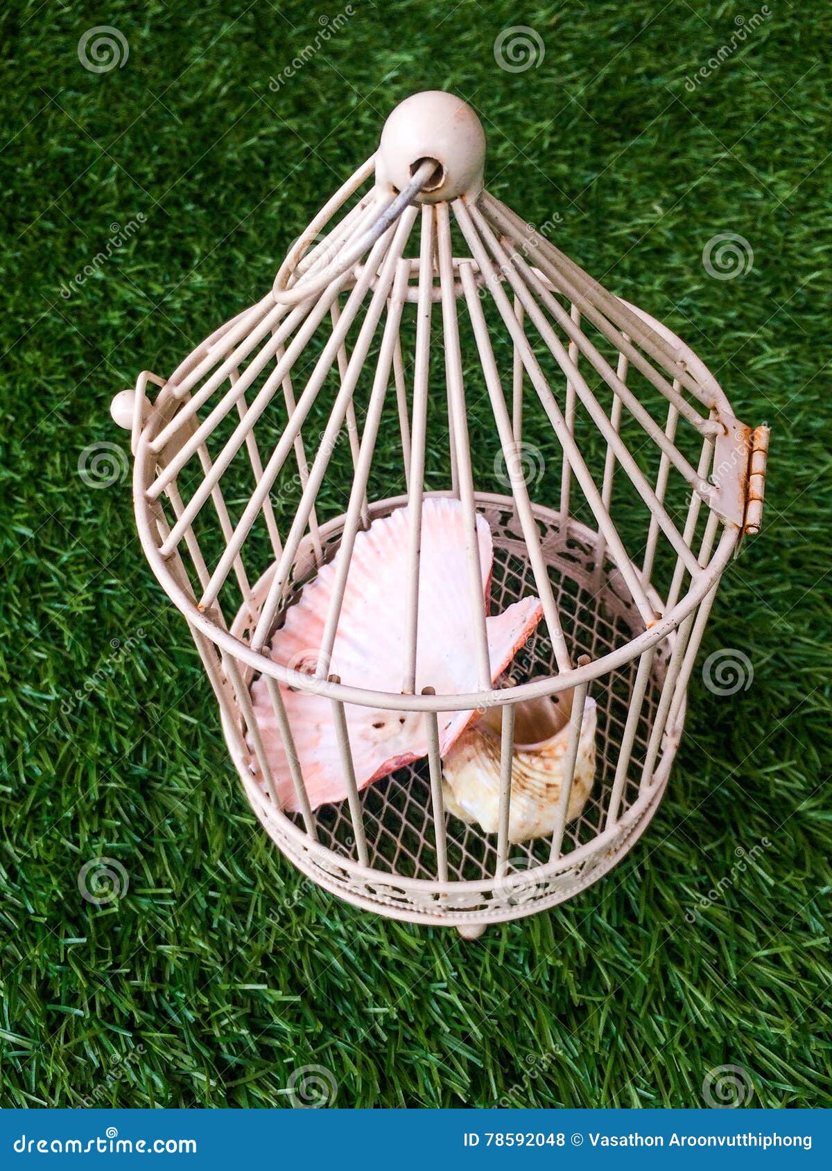 Shell in the cage stock photo. Image of grass, equipment - 78592048