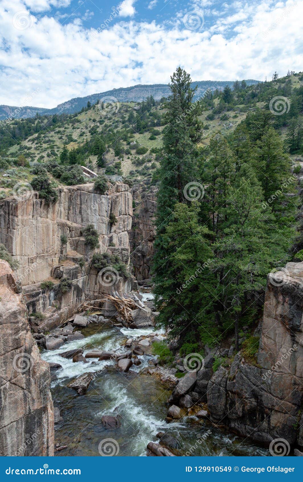Shell Canyon, Wyoming stock image. Image of bighorn - 129910549