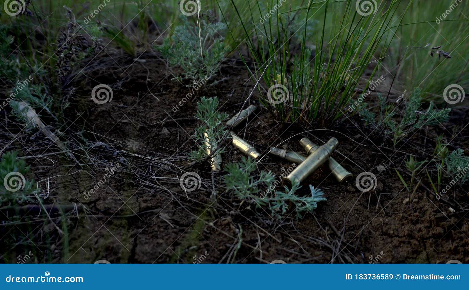 Shell Casings from a Machine Gun Lying Stock Video - Video of conflicts ...