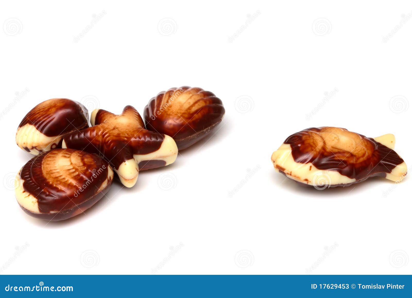 Shell chocolates stock image. Image of delicious, milk - 17629453