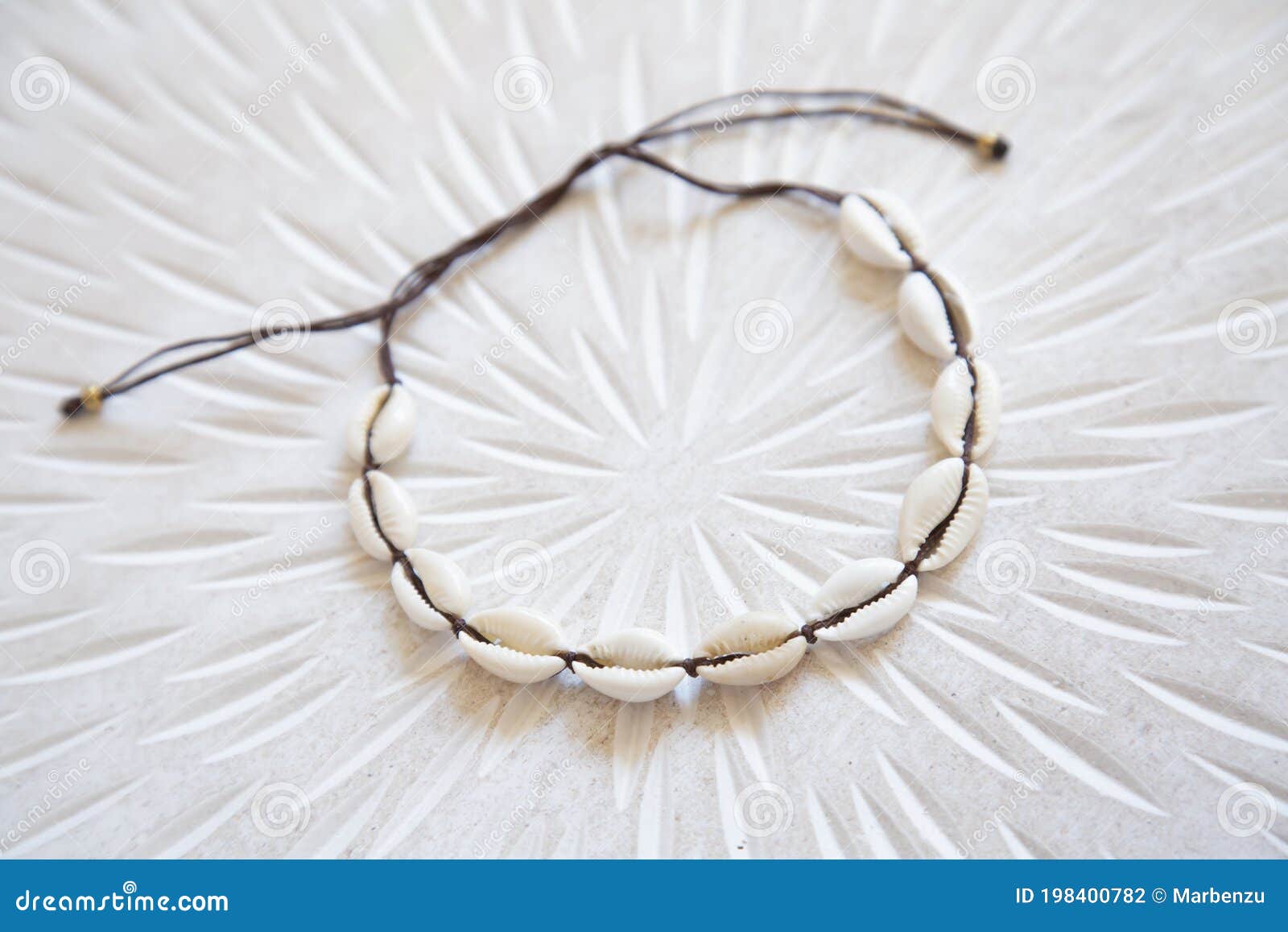 Shell Choker Necklace on White Background Stock Photo - Image of female ...