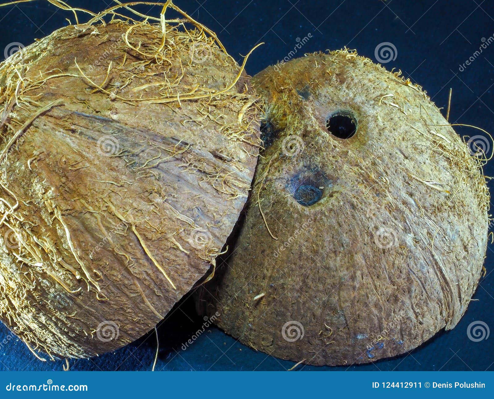 The Shell of the Chopped Coconut Dried and Having an Interesting ...