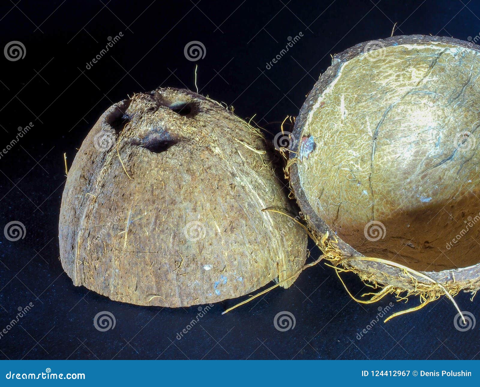 The Shell of the Chopped Coconut Dried and Having an Interesting ...