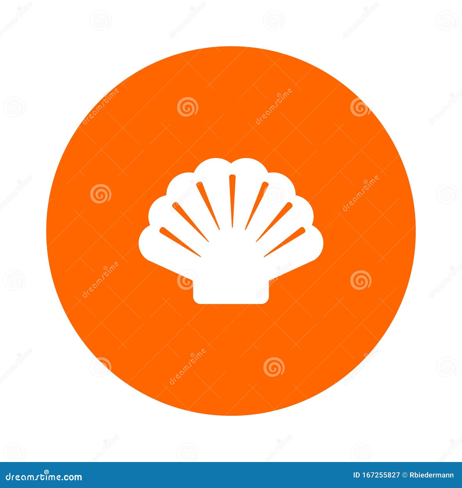 Shell and circle stock vector. Illustration of seafood - 167255827