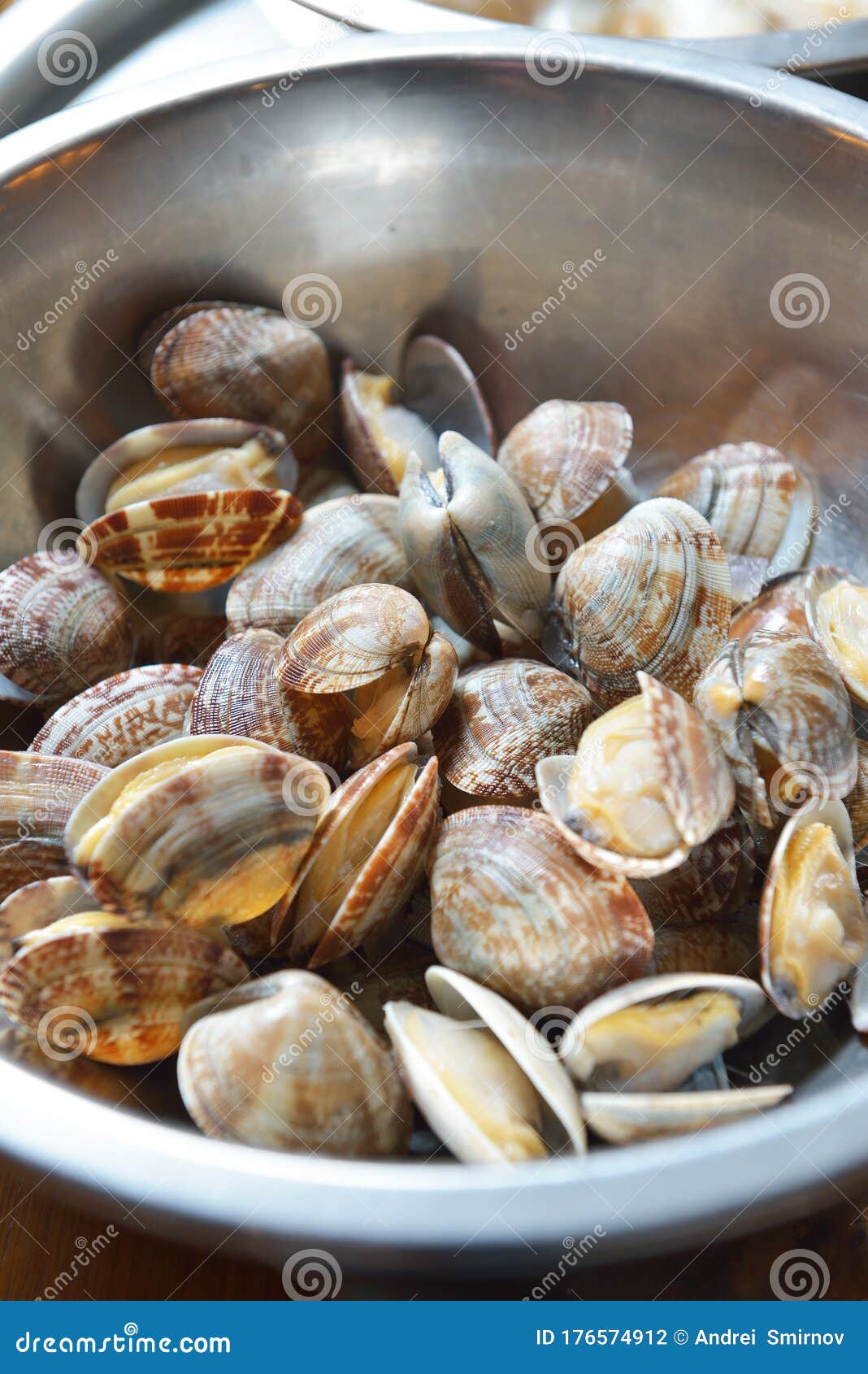 Shell clams stock photo. Image of tasty, shells, mollusks - 176574912