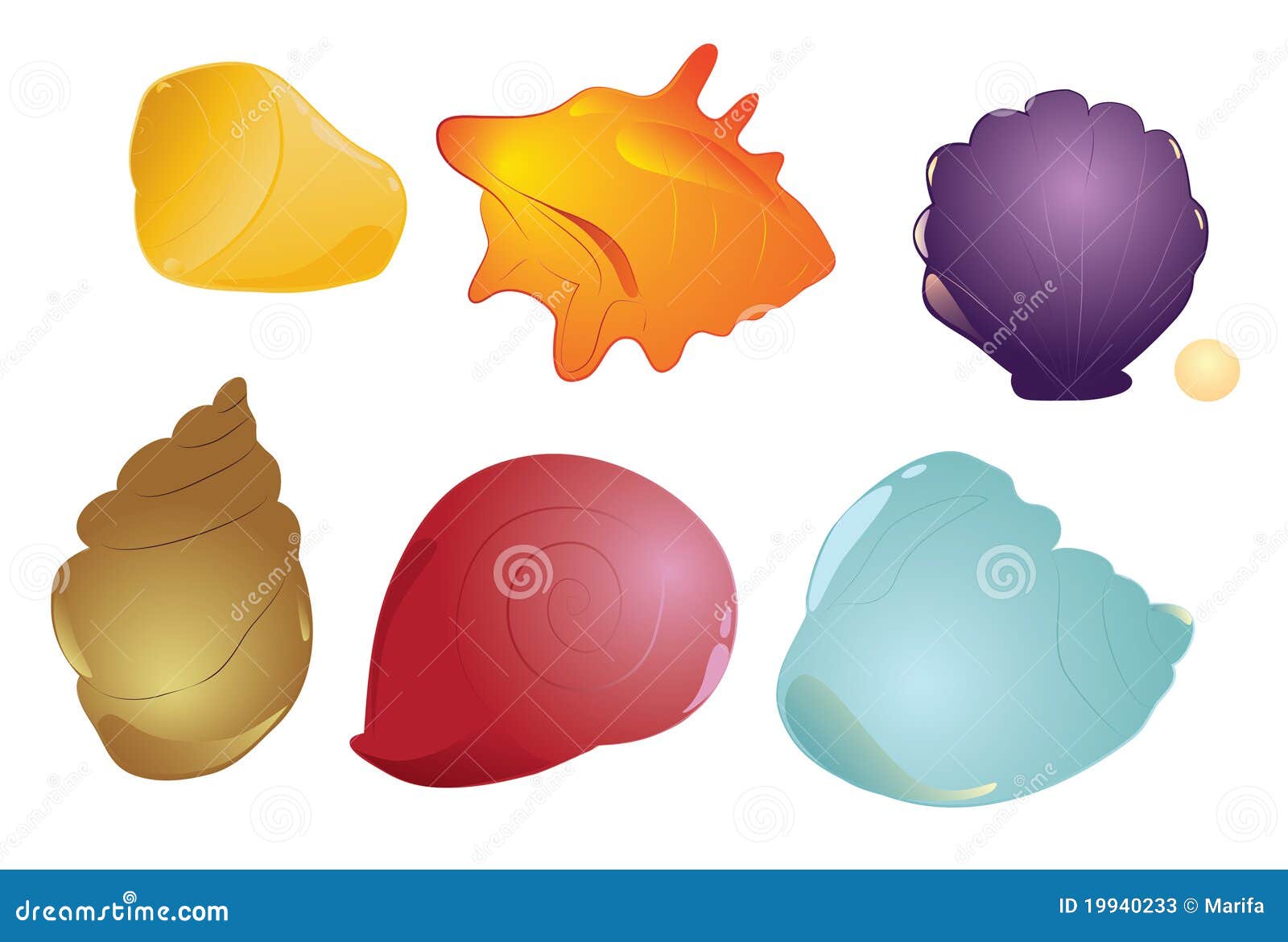 Shell Collection, Illustration, Drawing, Engraving, Ink, Line Art ...